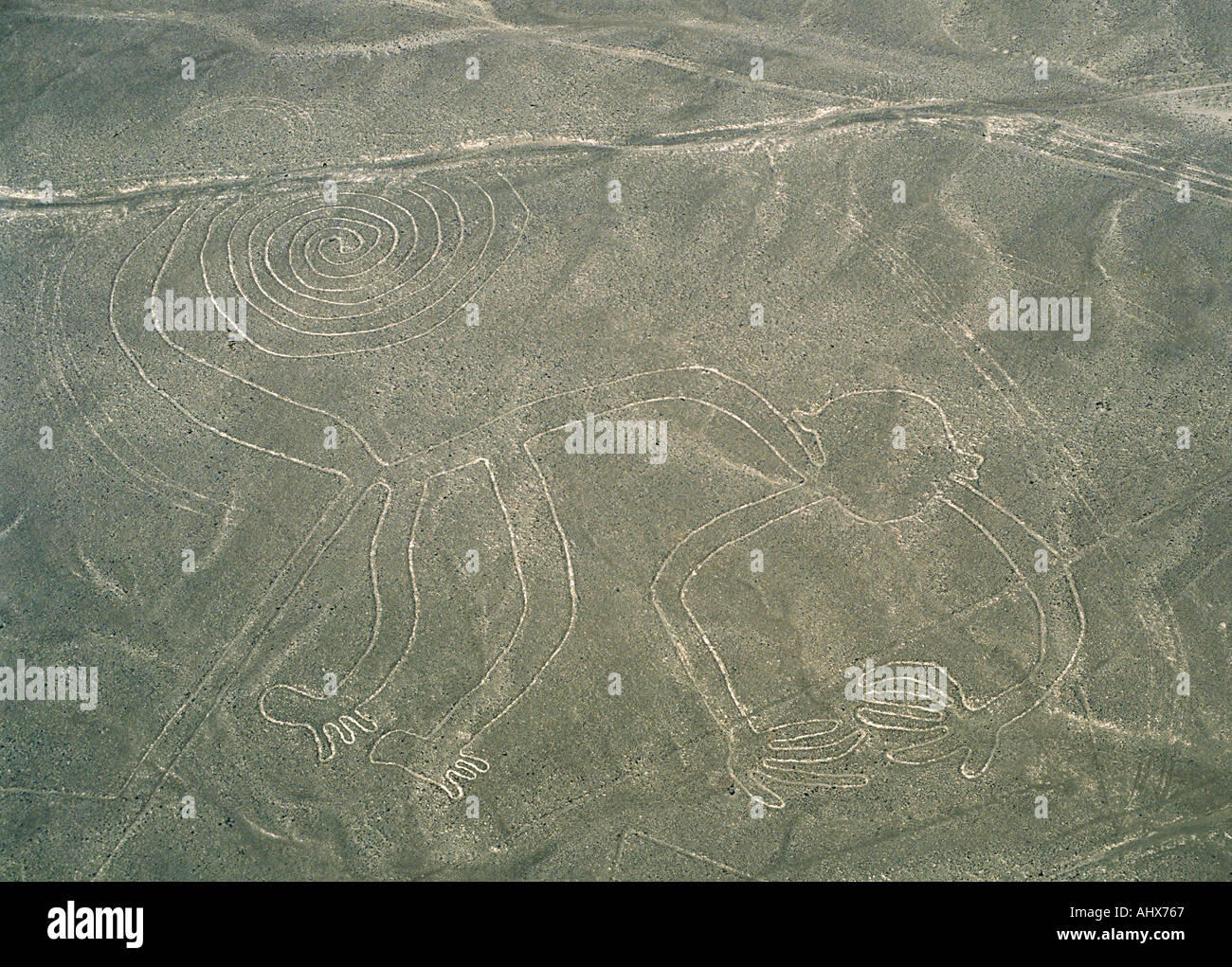 PERU Nazca Lines MONKEY DESIGN Stock Photo - Alamy