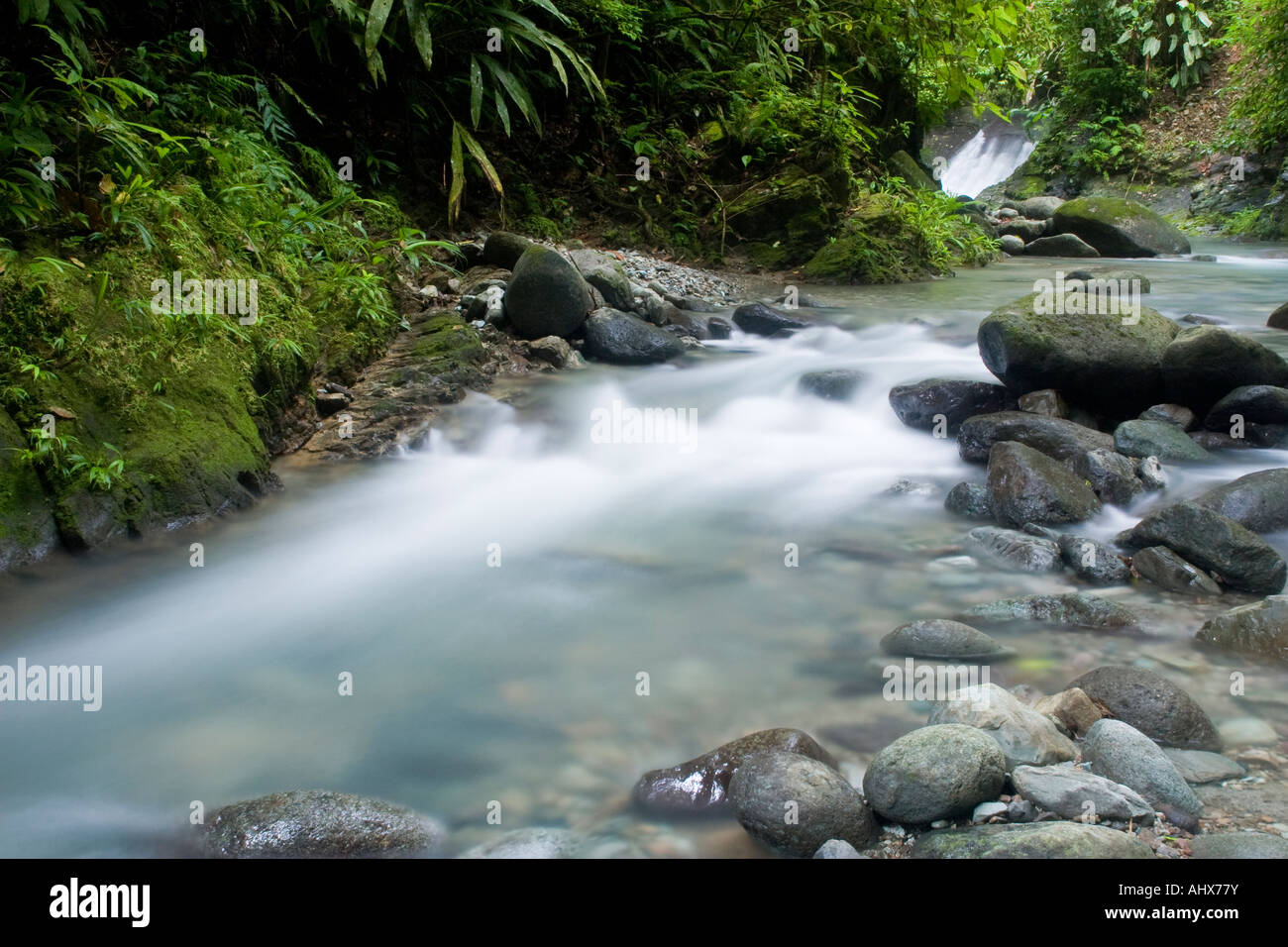 Lush stream and waterfall in the lowland tropical rainforests of Panama ...