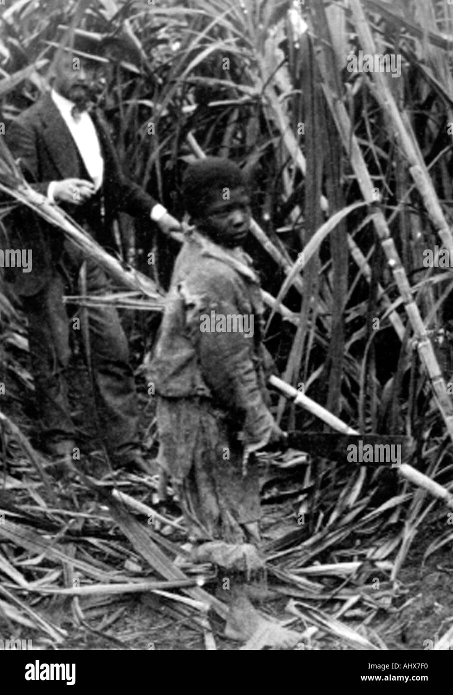 Louisiana sugar Black and White Stock Photos & Images - Alamy