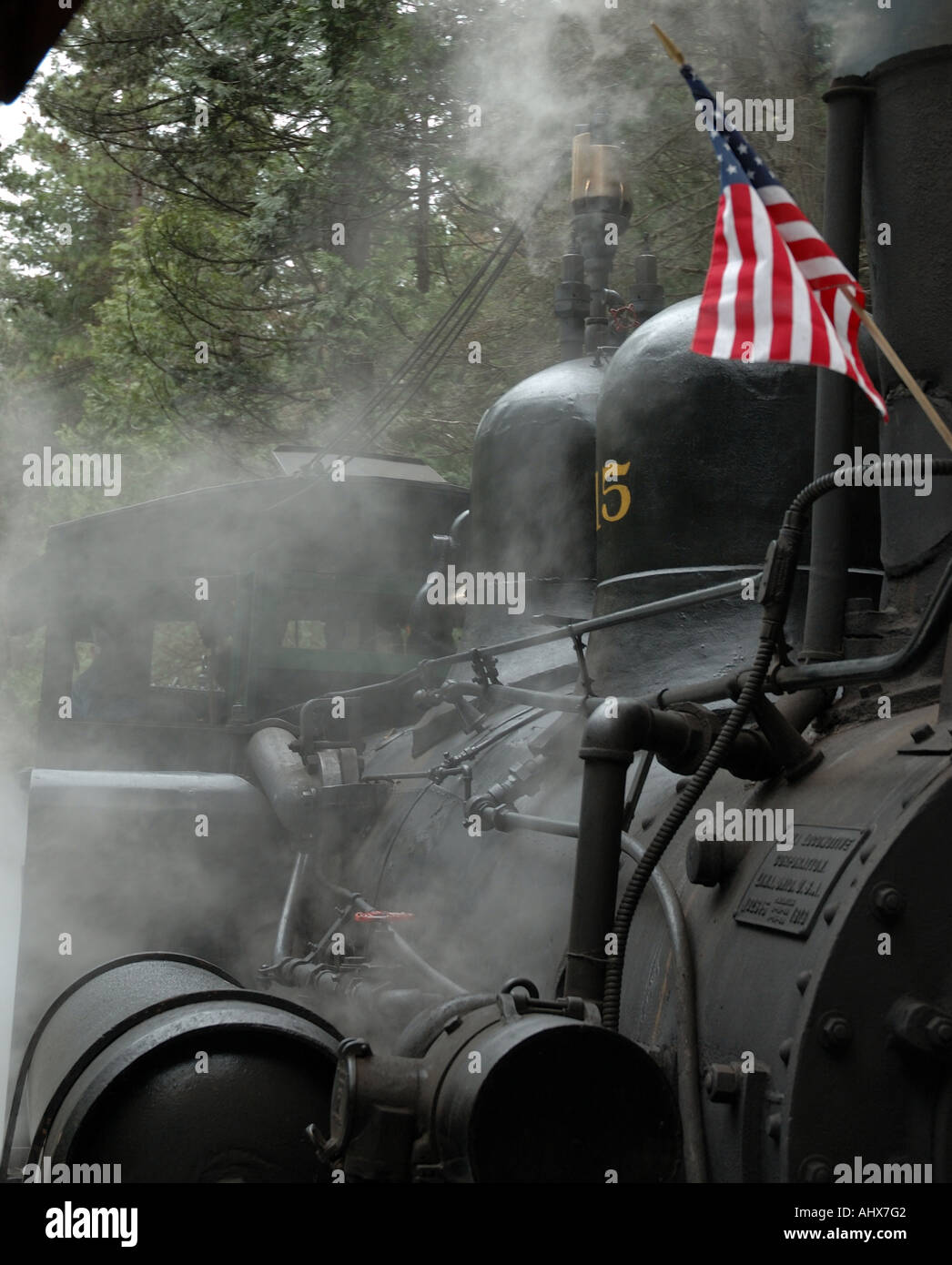 Steam locomotive on the Yosemite Mountain Sugar Pine Railroad outside ...