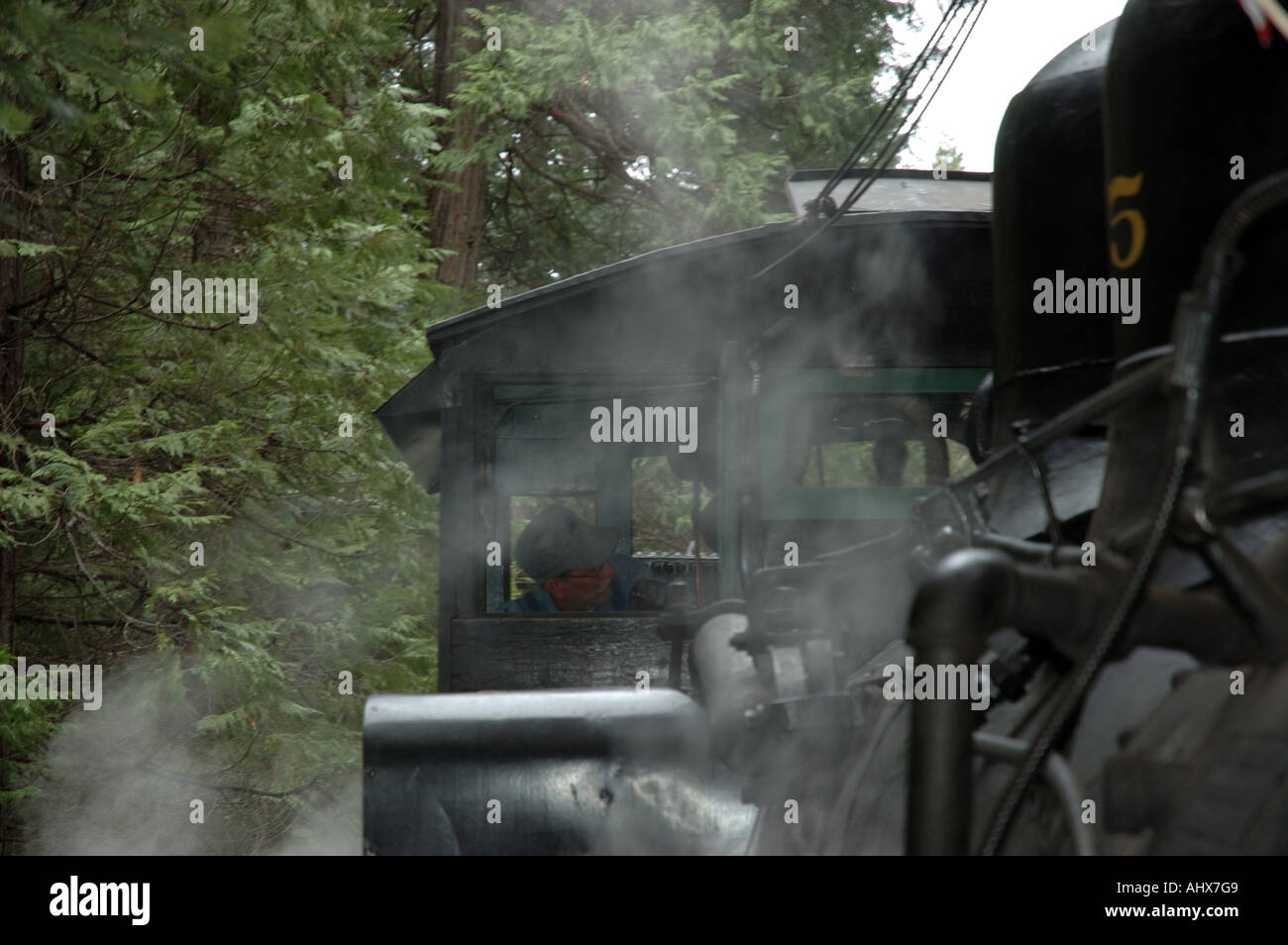 Steam locomotive on the Yosemite Mountain Sugar Pine Railroad outside ...