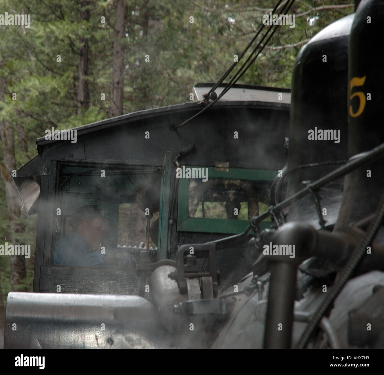 Steam locomotive on the Yosemite Mountain Sugar Pine Railroad outside ...