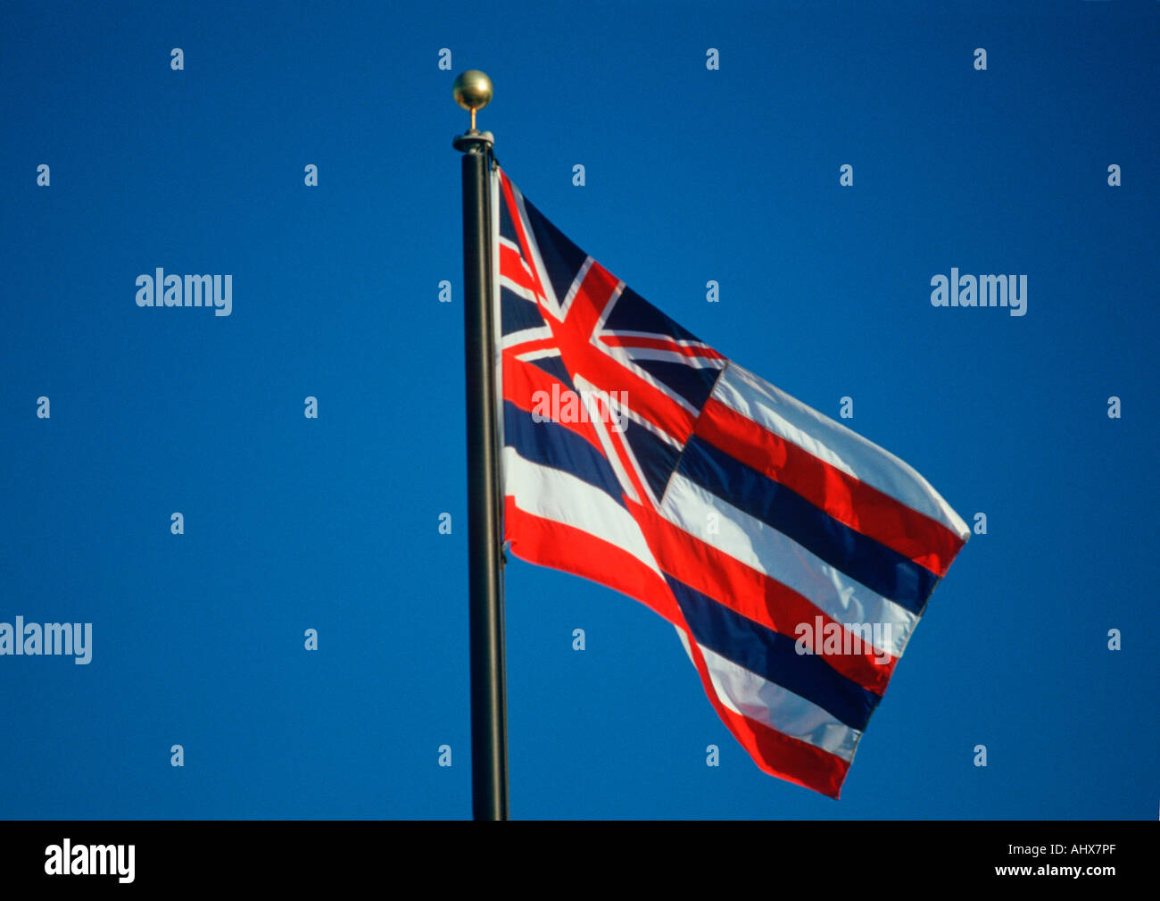American and hawaiian state flags hi-res stock photography and images ...