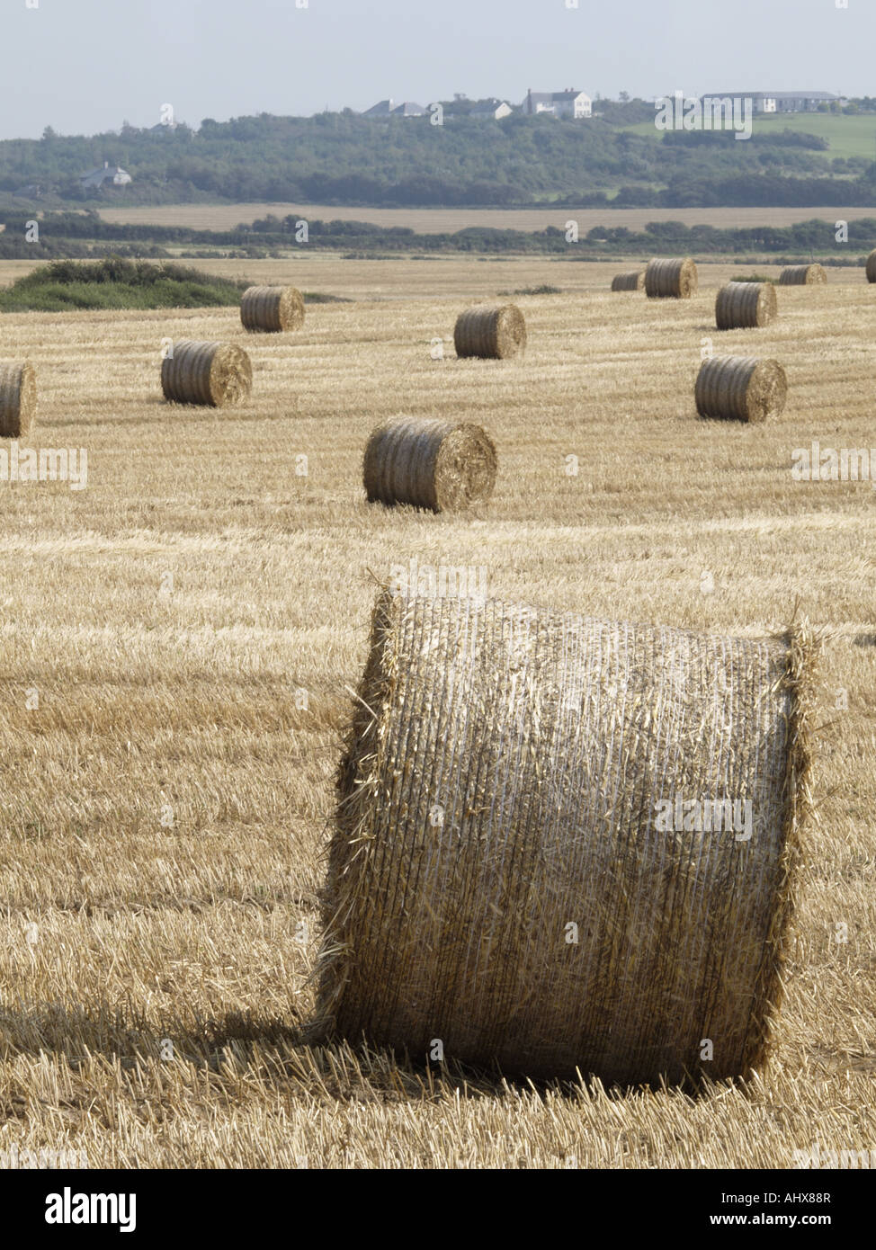 Round bails in a field hi-res stock photography and images - Alamy