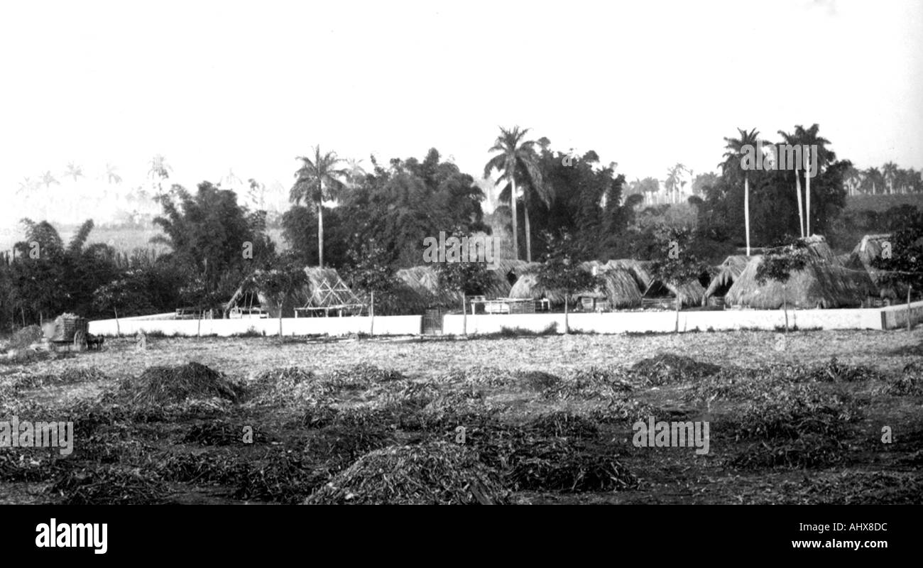 Slave huts Cuba 1874 Stock Photo - Alamy