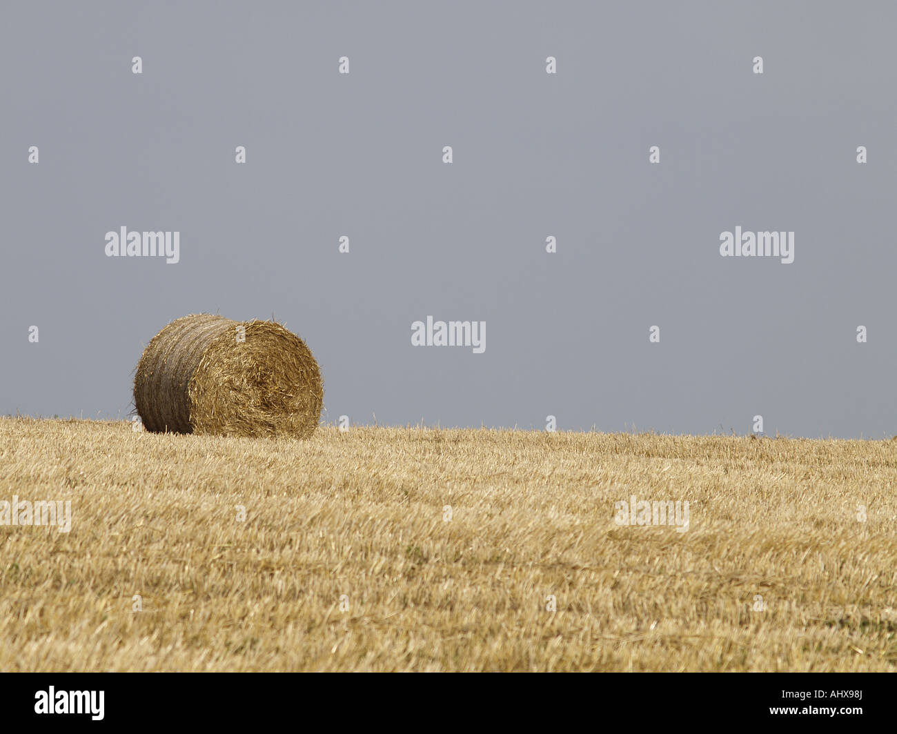 Round brown hay bail on a hill, in a field Stock Photo - Alamy