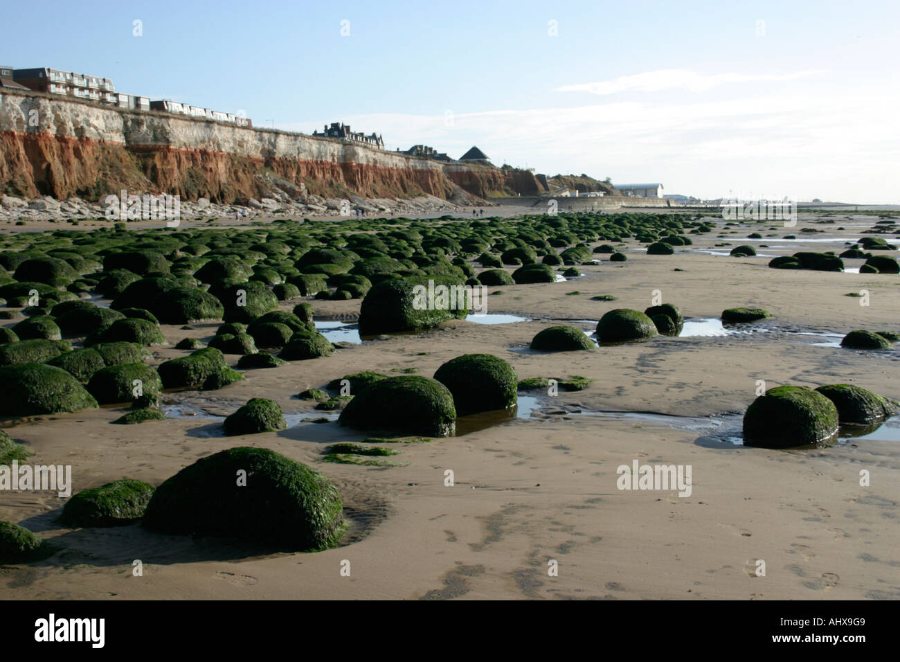 hunstanton cliff strata beach boulders county of norfolk east anglia ...