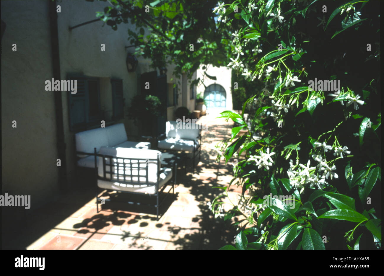 French Country Garden in Provence Stock Photo - Alamy