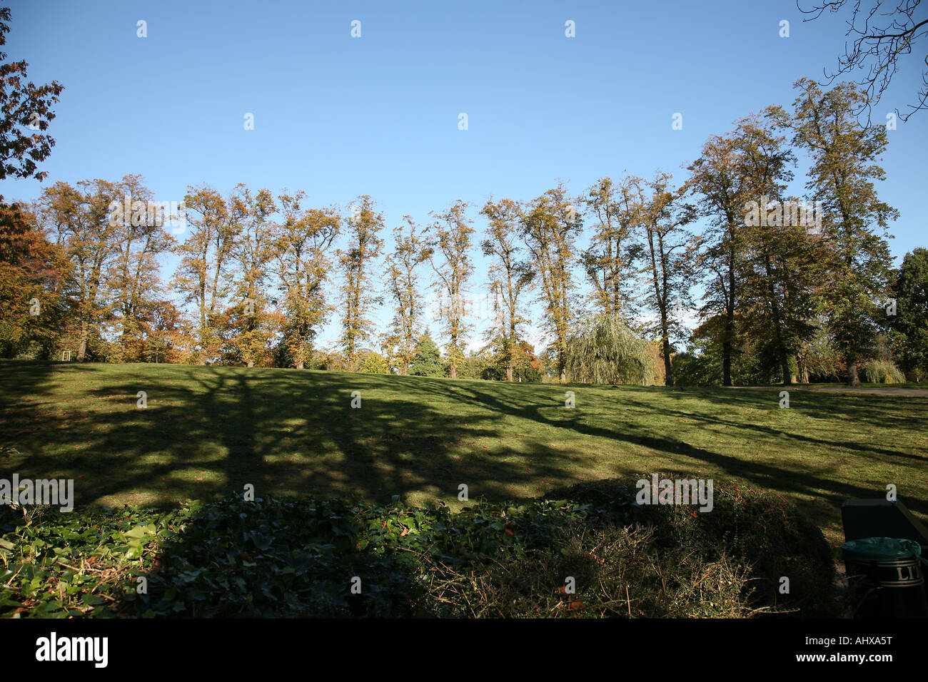 Autumn trees in London's urban Waterlows park in Highgate Stock Photo ...