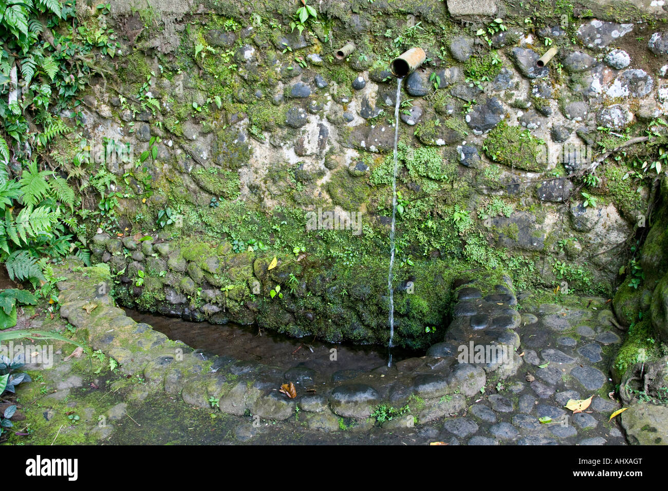 Fresh Water Spring Ayung River Gorge Ubud Bali Indonesia Stock Photo ...