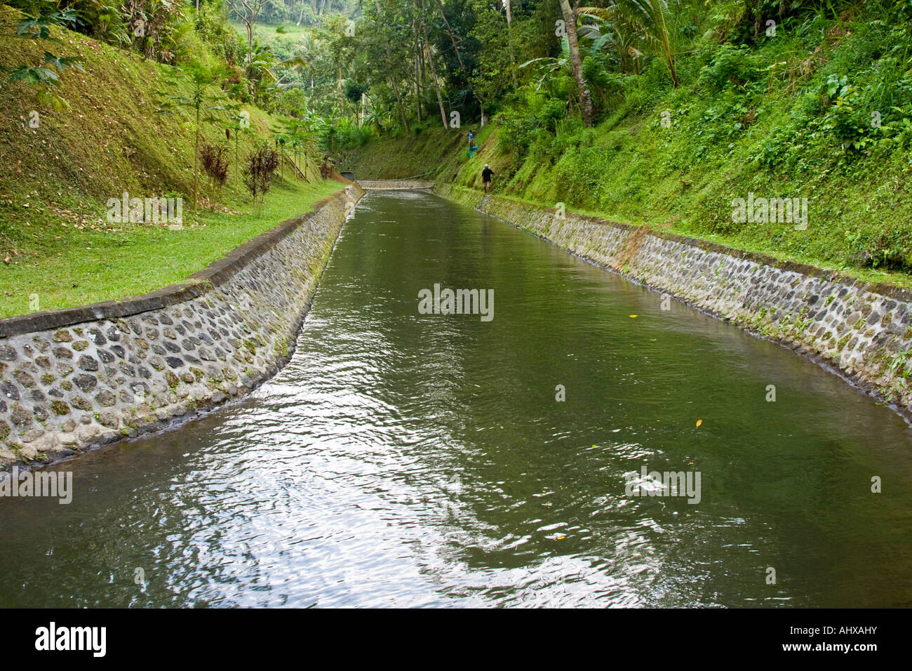 Agricultural Aquaduct Ayung River Gorge Ubud Bali Indonesia Stock Photo ...
