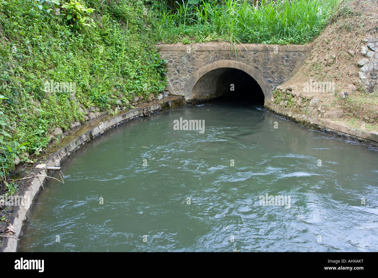 Agricultural Aqueduct Ayung River Gorge Ubud Bali Indonesia Stock Photo ...