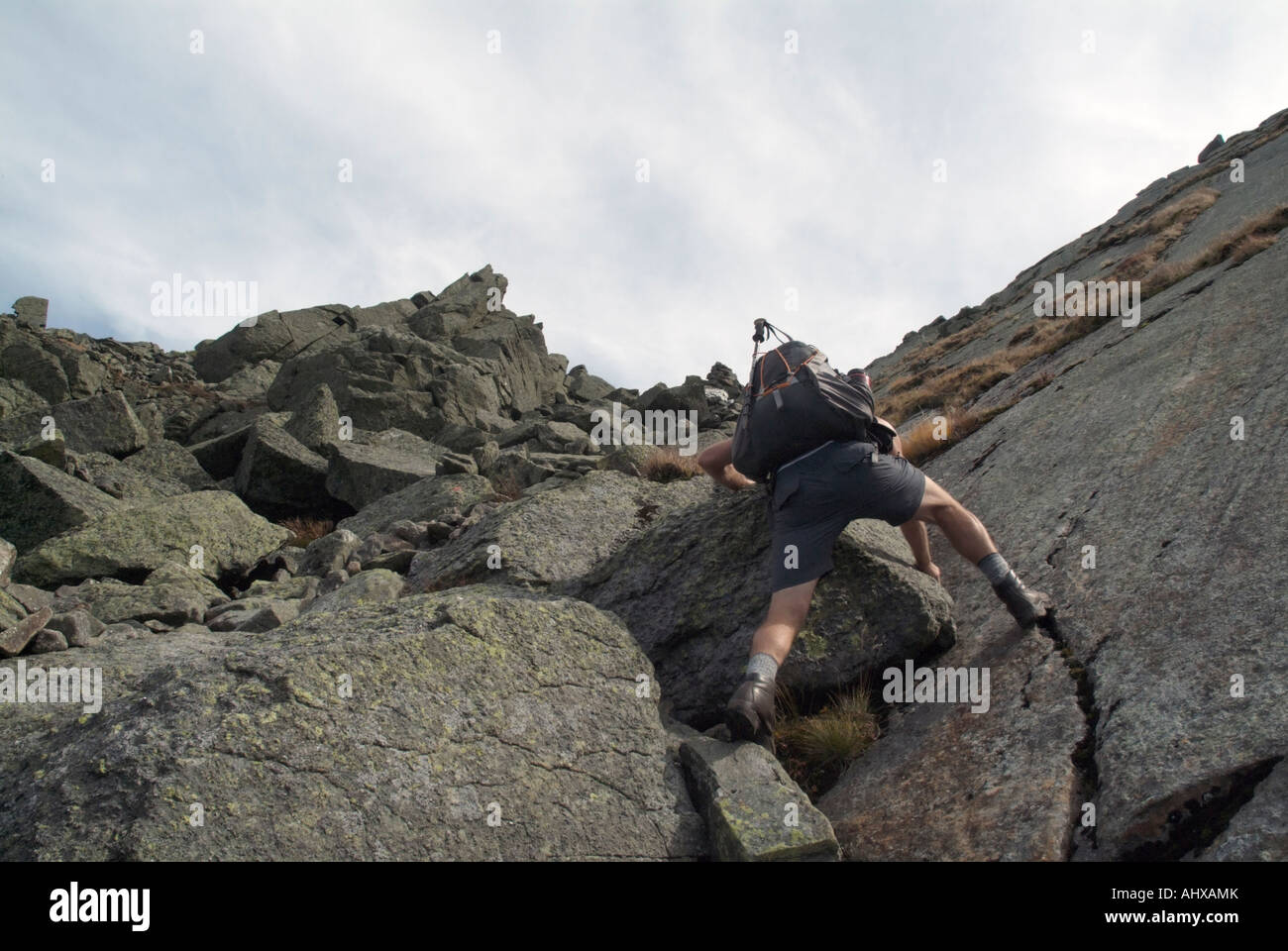 Hiking on the King Ravine Trail during the early autumn months Located ...