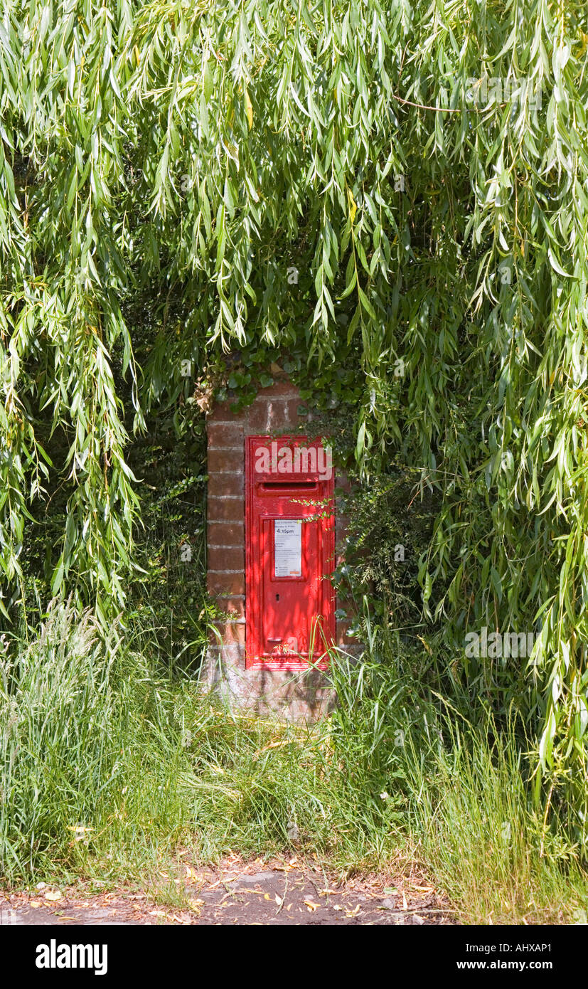 Traditional Red British Post Box Set in Wall and Surrounded by ...