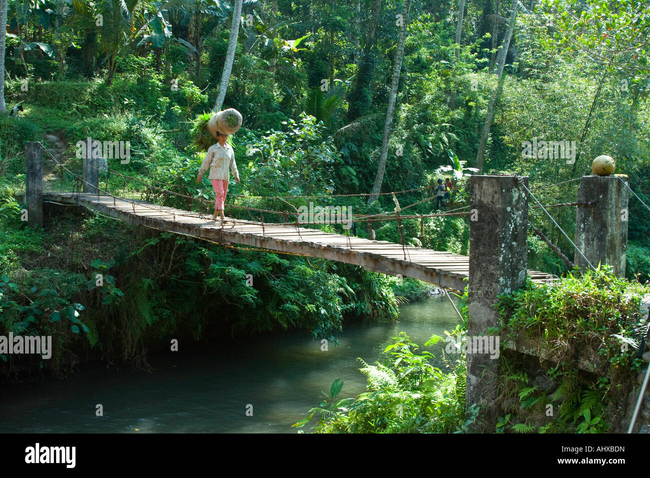 Ayung River Gorge Ubud Bali Indonesia Stock Photo - Alamy