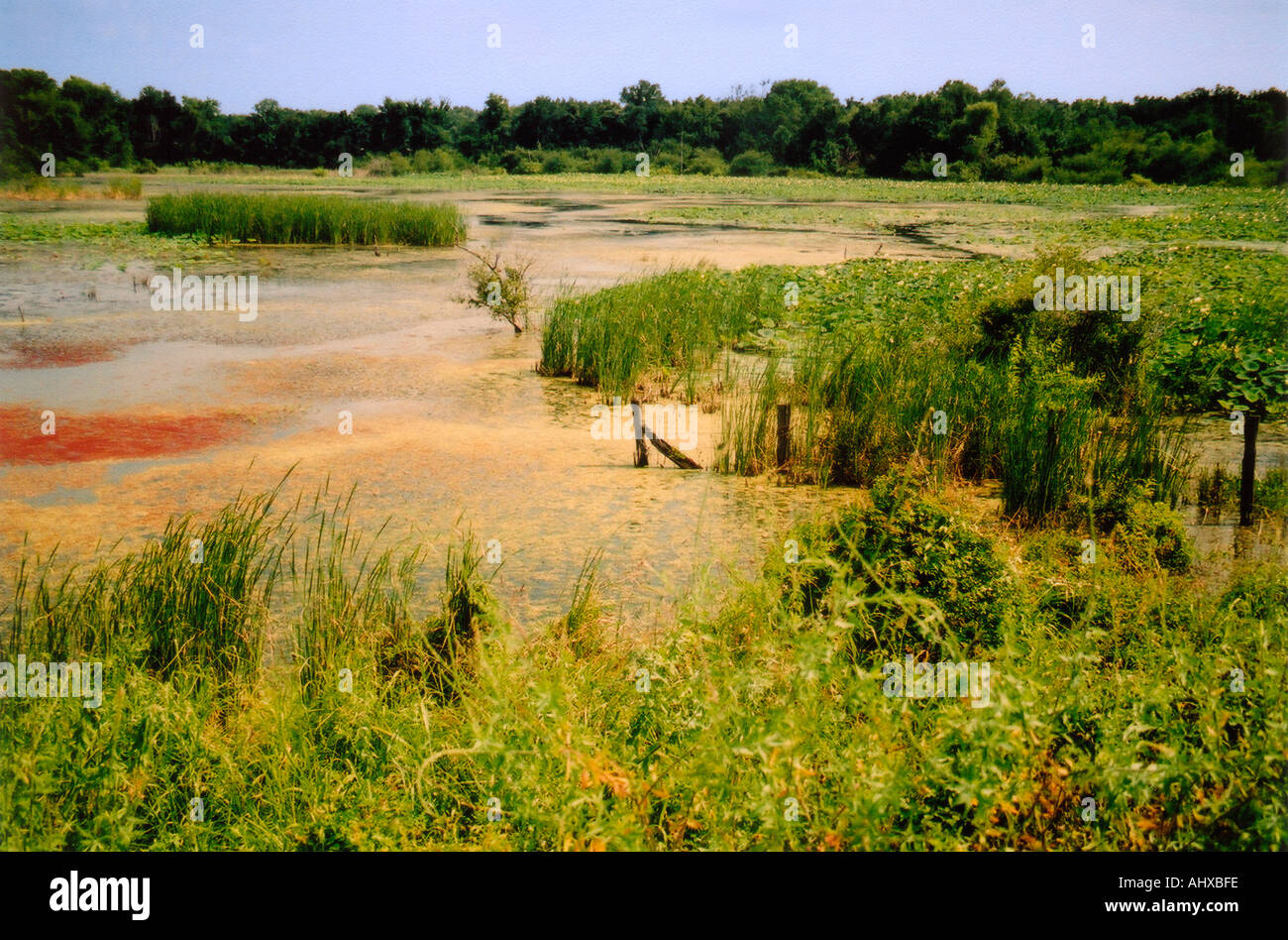 Rivers in texas hi-res stock photography and images - Alamy