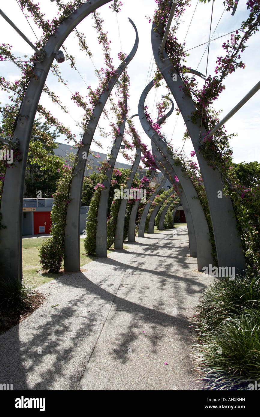 Sculptural contemporary Arbour walkway with bougainvilla on South Bank ...