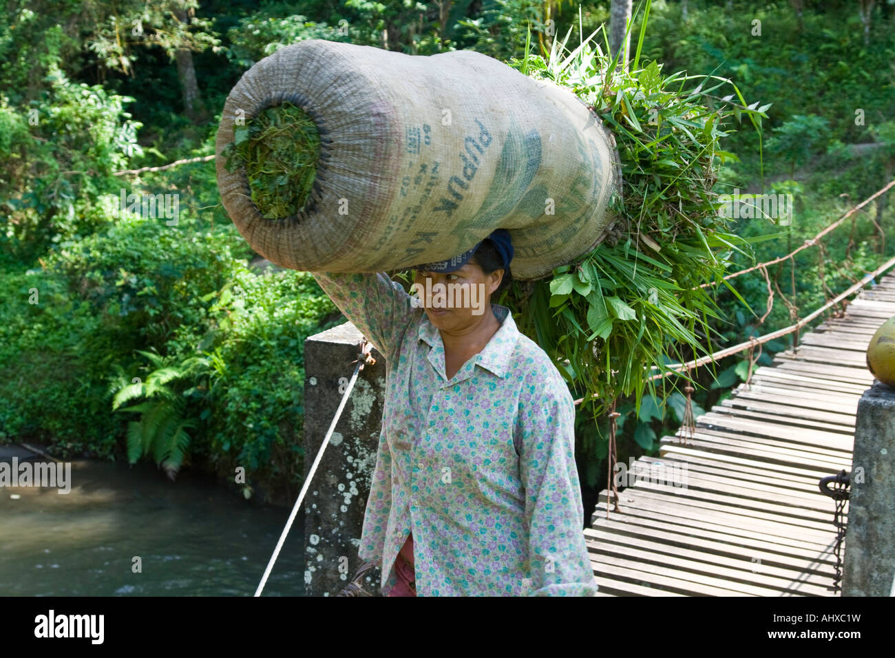 Woman Carrying Bundle of Produce on Head Ayung River Gorge Ubud Bali ...