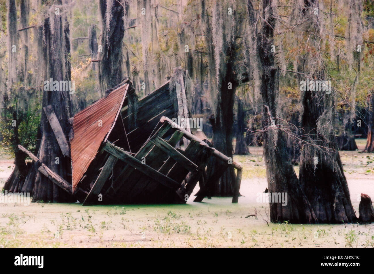 Dilapidated Structure in Swamp Stock Photo - Alamy
