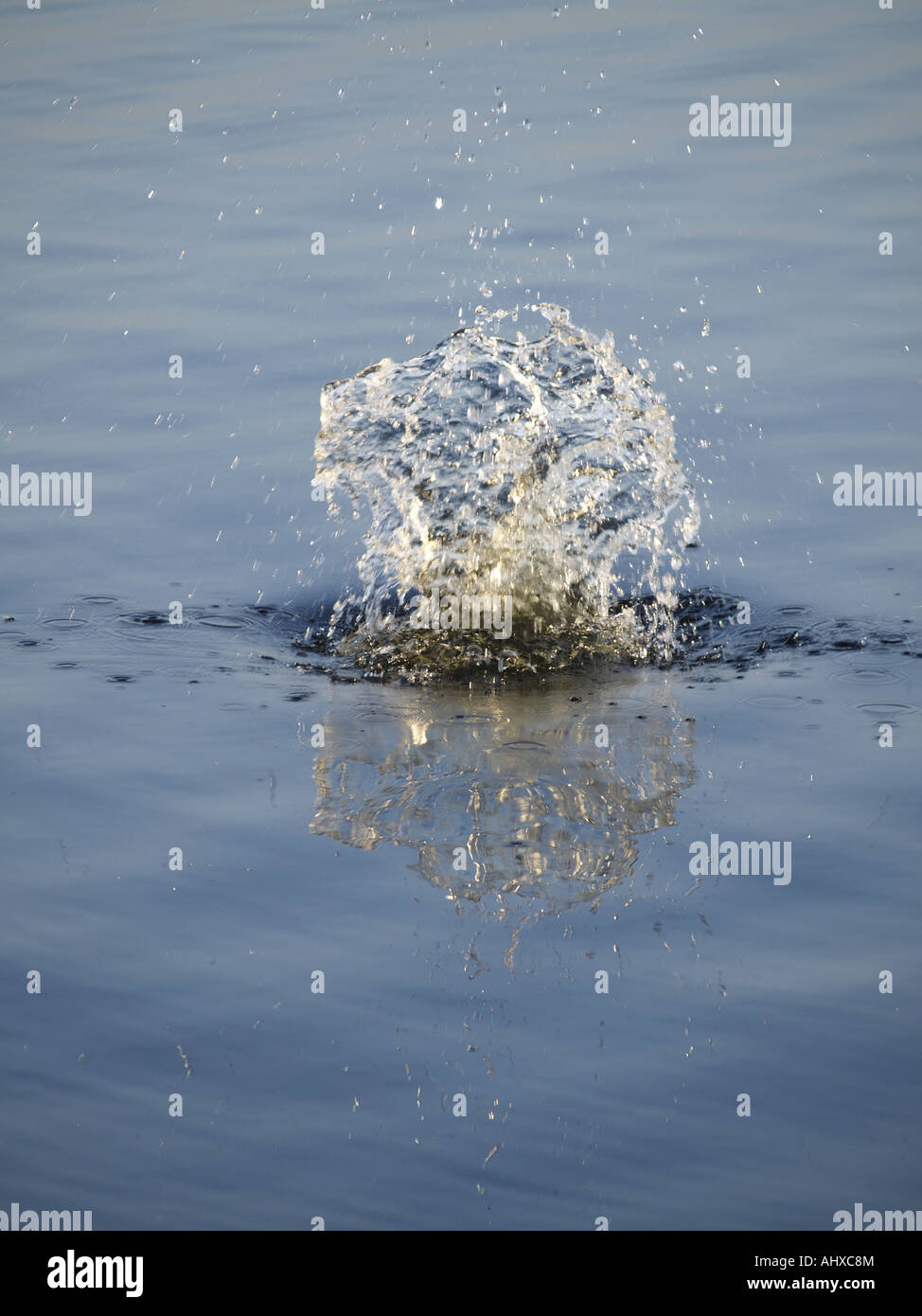Ripples in water from a stone hi-res stock photography and images - Alamy