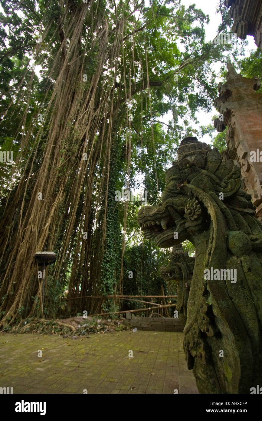 Hanging Vine Tree Ayung River Gorge Ubud Bali Indonesia Stock Photo - Alamy