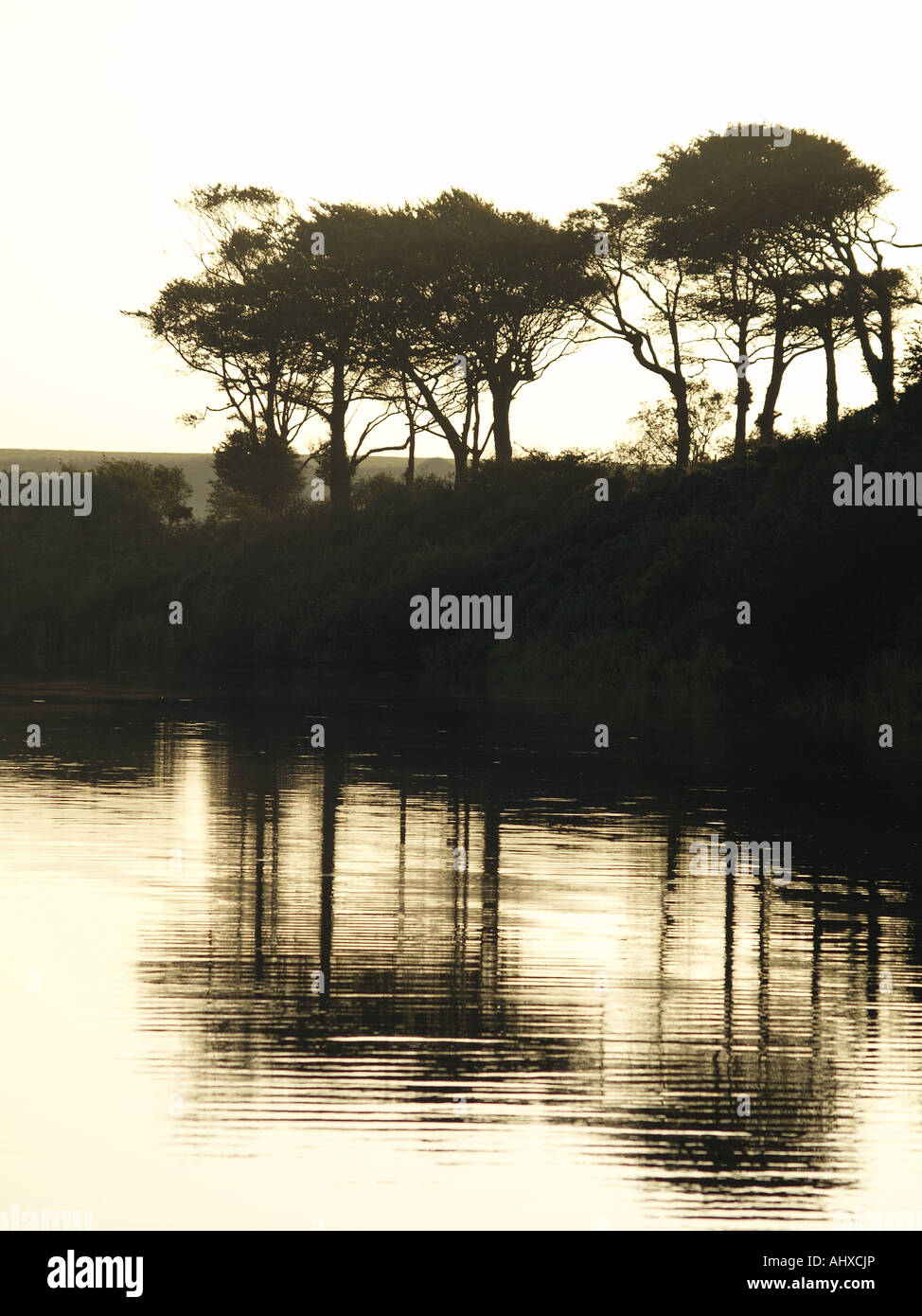 Tamar lakes hi-res stock photography and images - Alamy