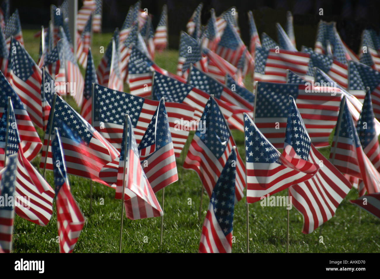 Multiple American Flags Blowing in the Wind Stock Photo - Alamy