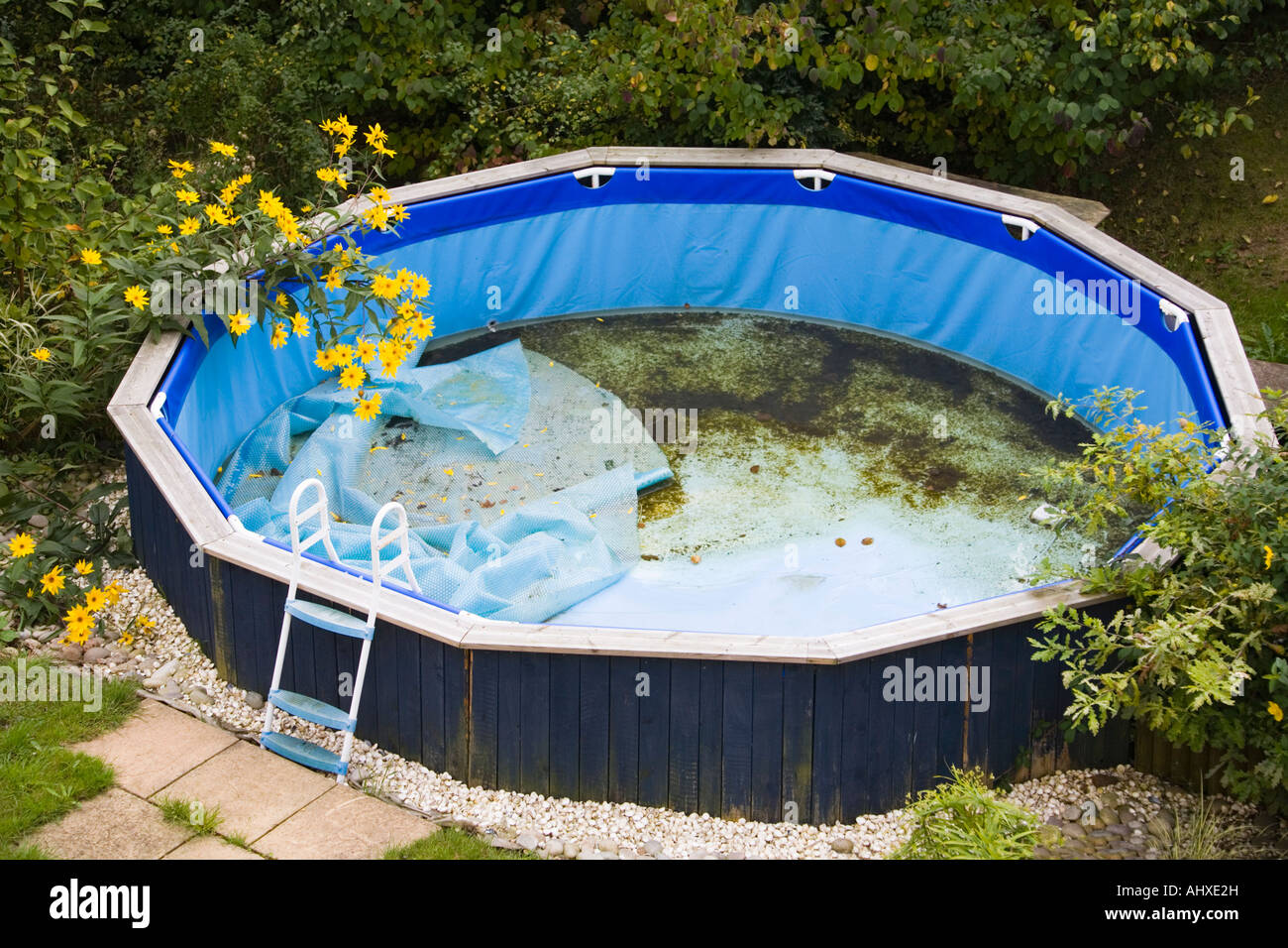 Aerial view of a drained empty swimming pool Stock Photo - Alamy