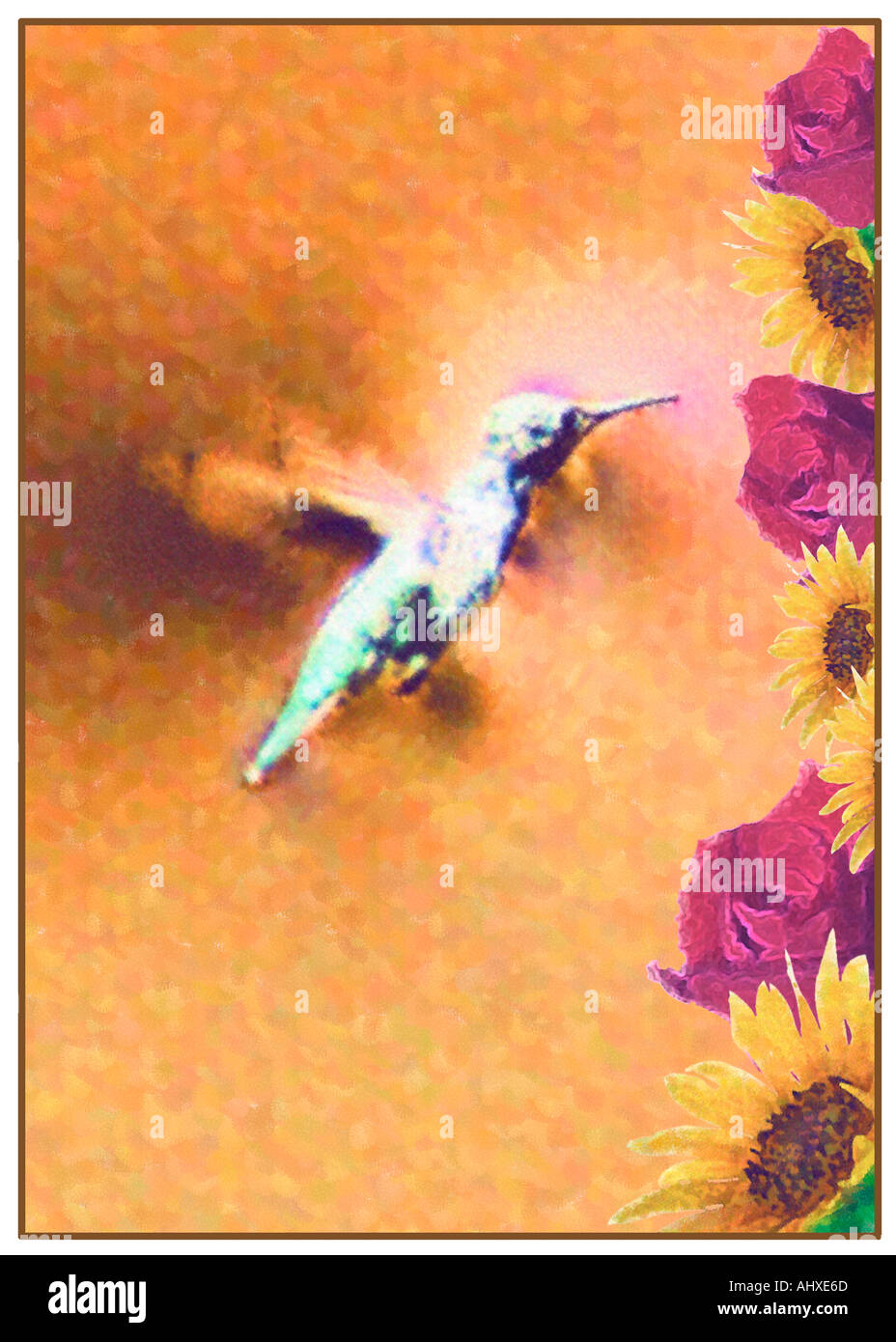 Artistic rendering of hummingbird roses and sunflowers Stock Photo - Alamy