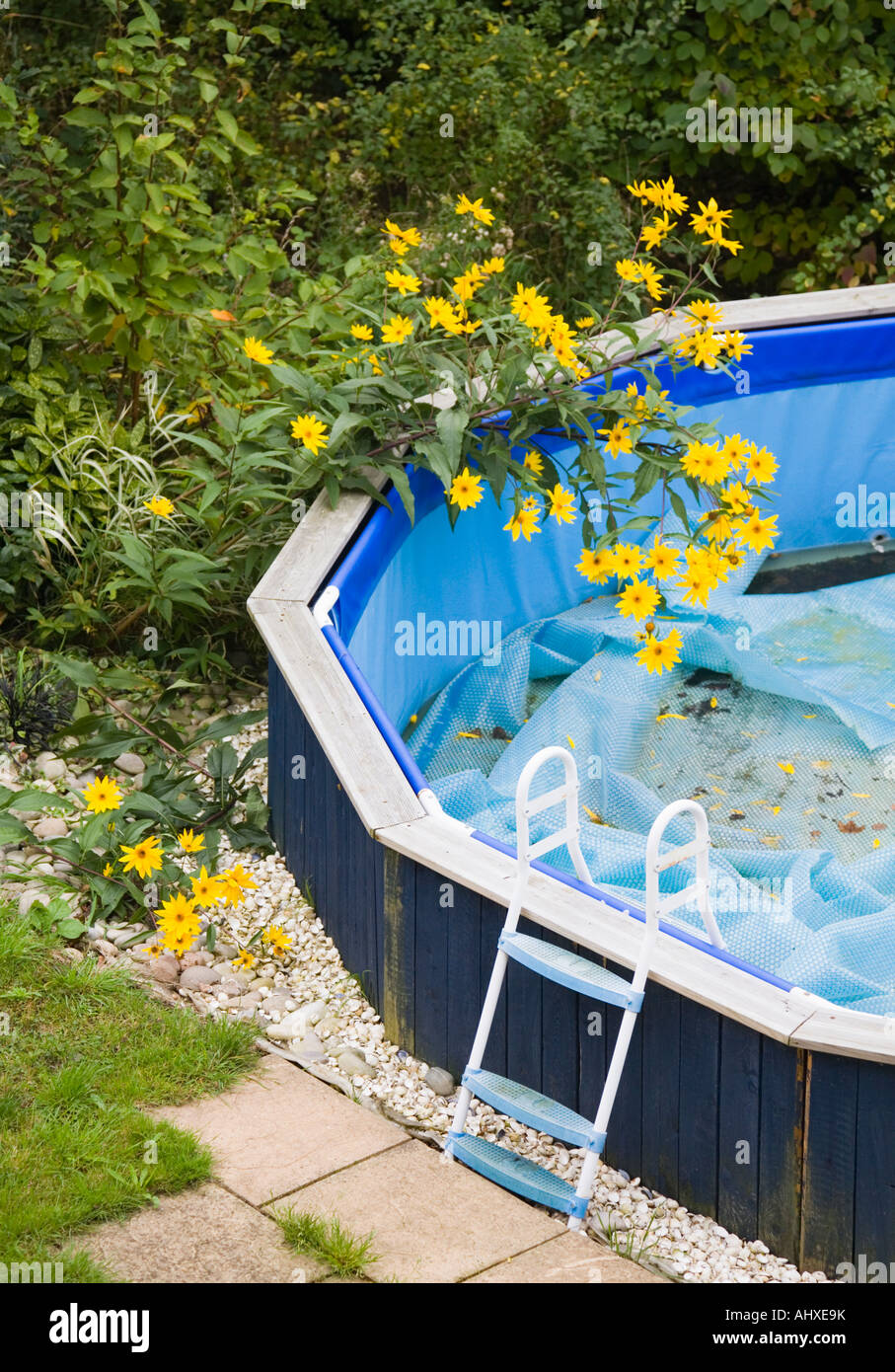 Aerial view of abandoned empty swimming pool Stock Photo - Alamy