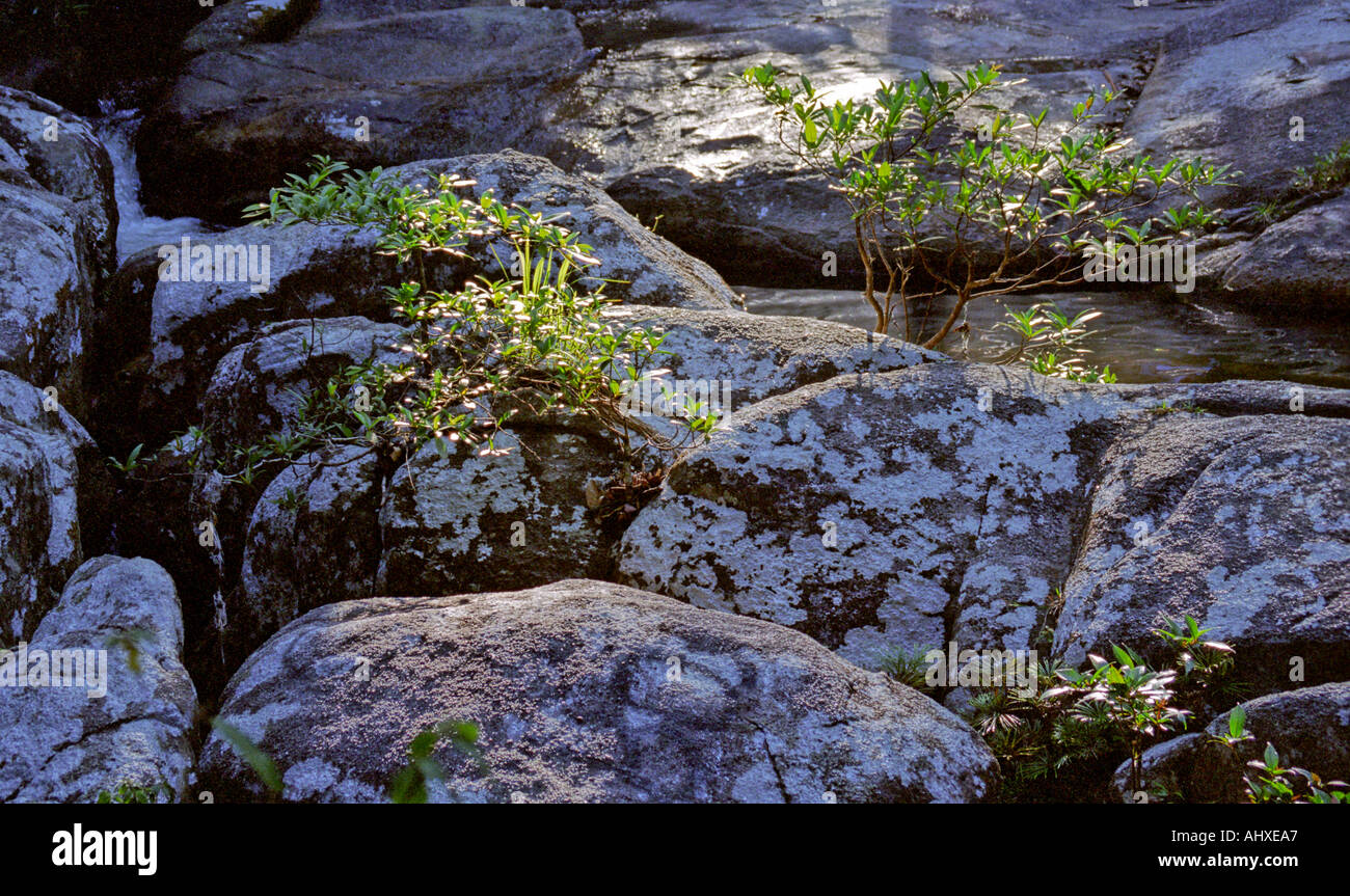 rocks at sunset in Gunung Ledang Malaysia Stock Photo - Alamy