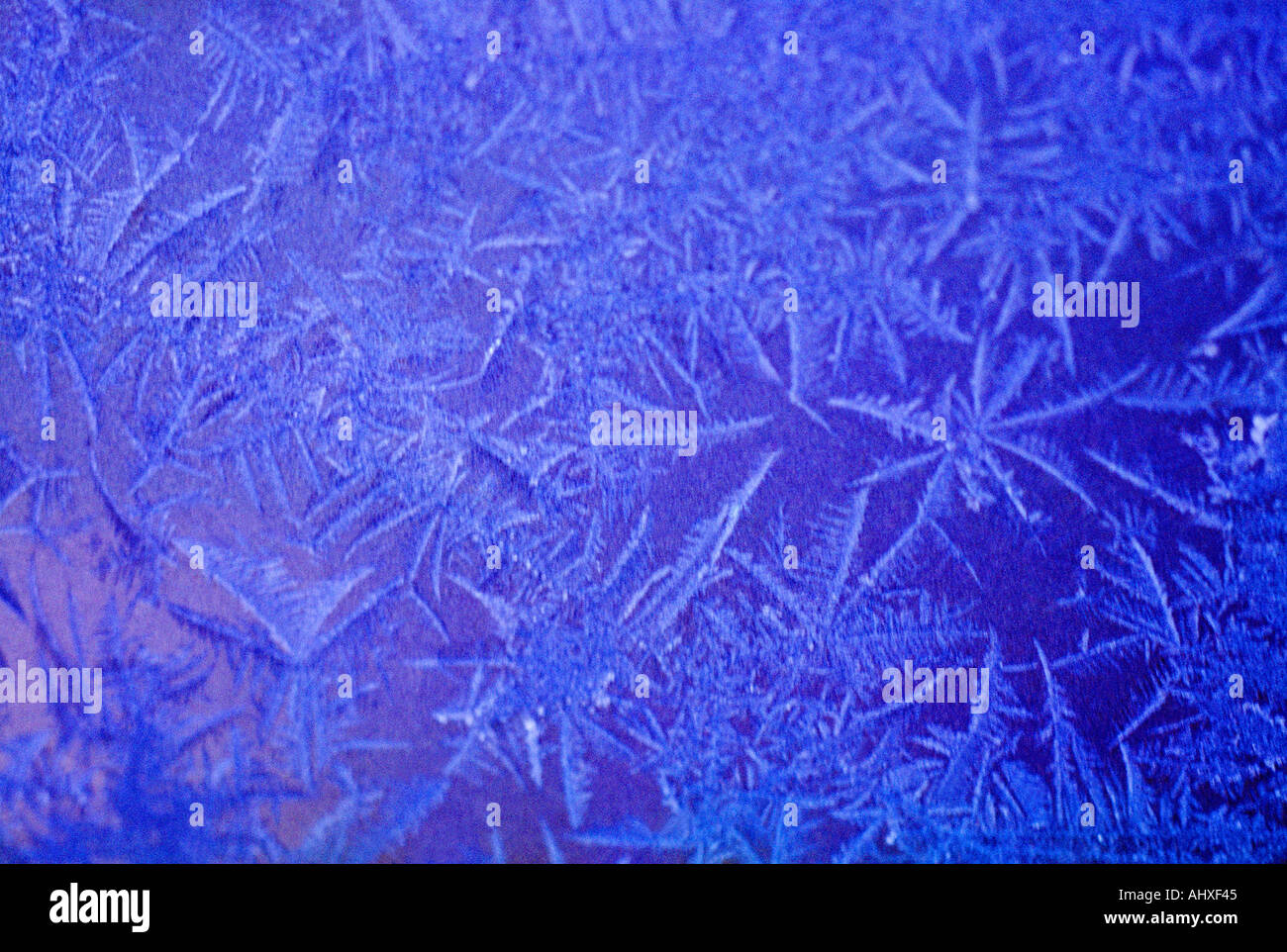 Ice Crystal Patterns Stock Photo - Alamy