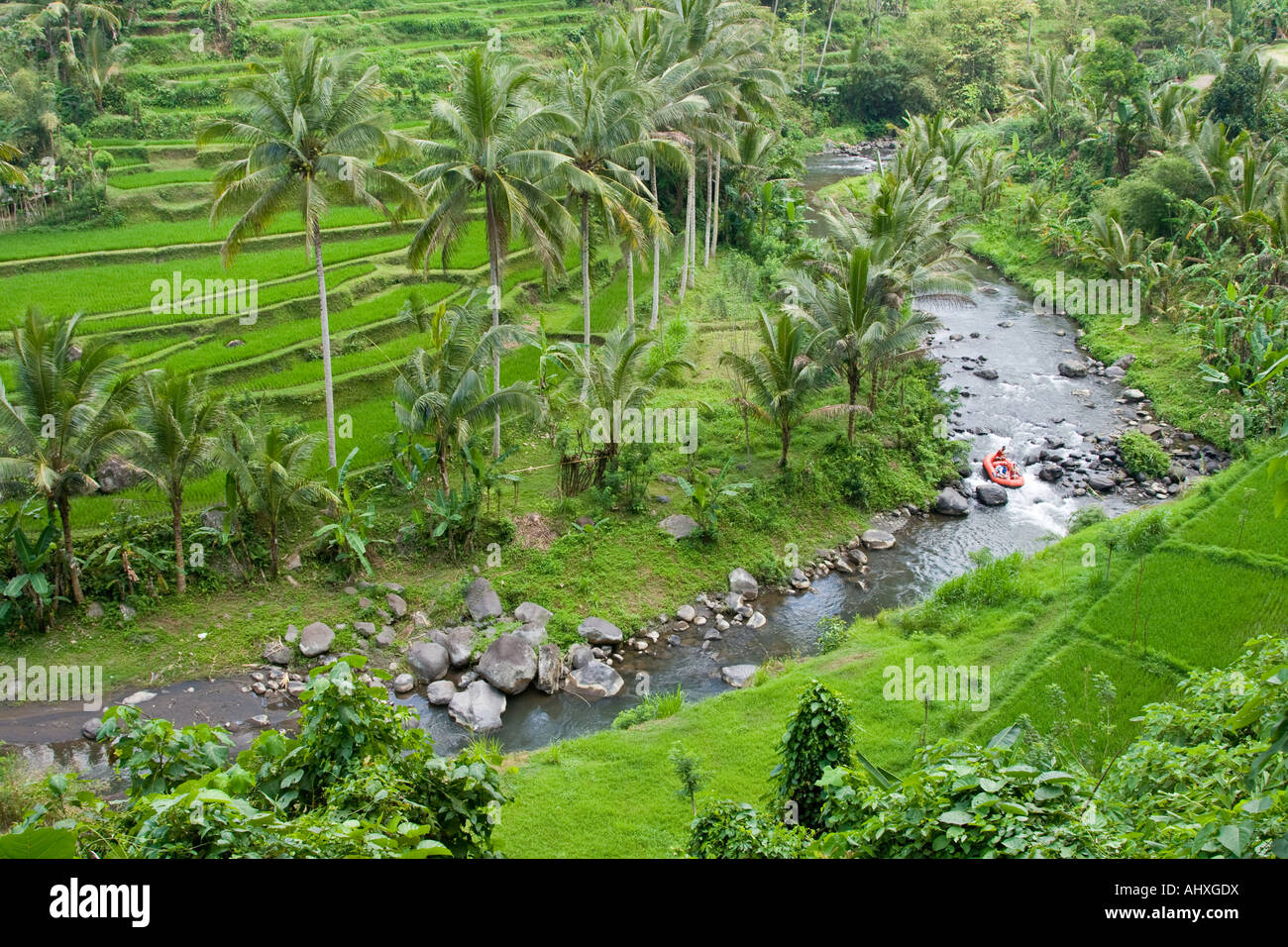 Rafting Ayung River Gorge Rice Terraces Ubud Bali Indonesia Stock Photo ...