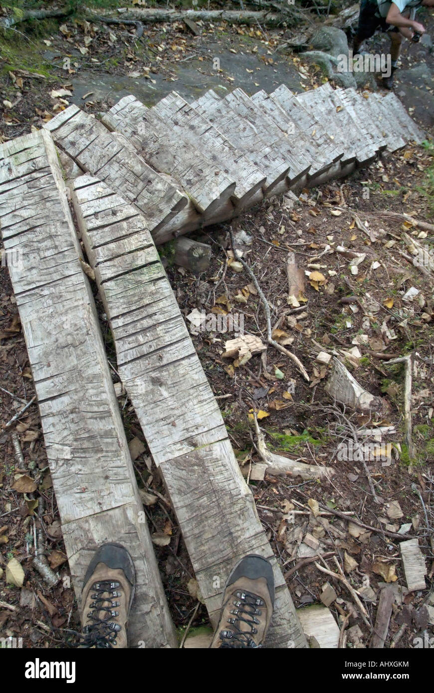 Trail staircase along Israel Ridge Path in the Presidential Range in ...