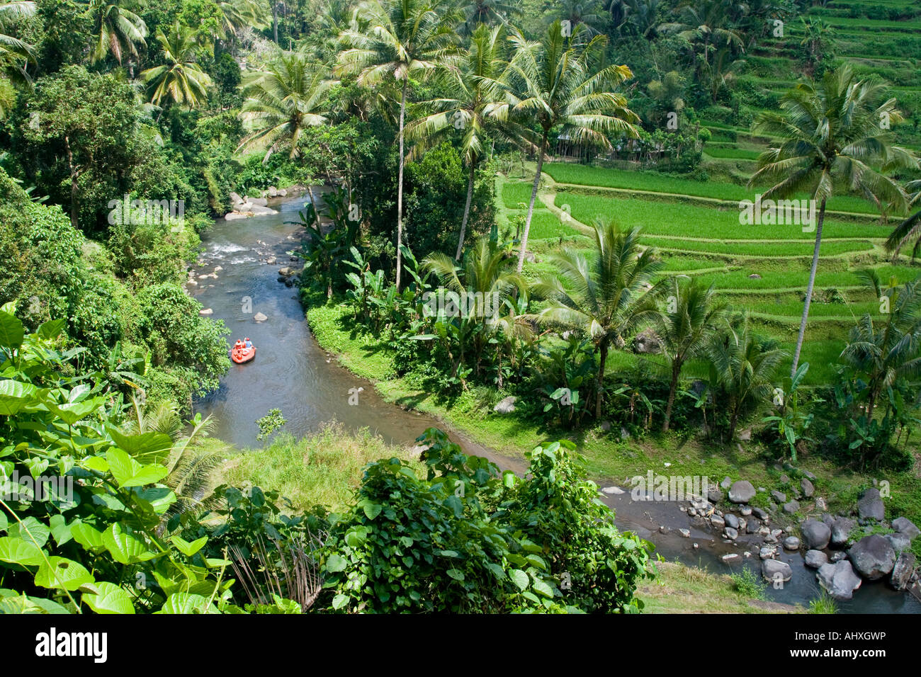 Ayung River Bali High Resolution Stock Photography and Images - Alamy