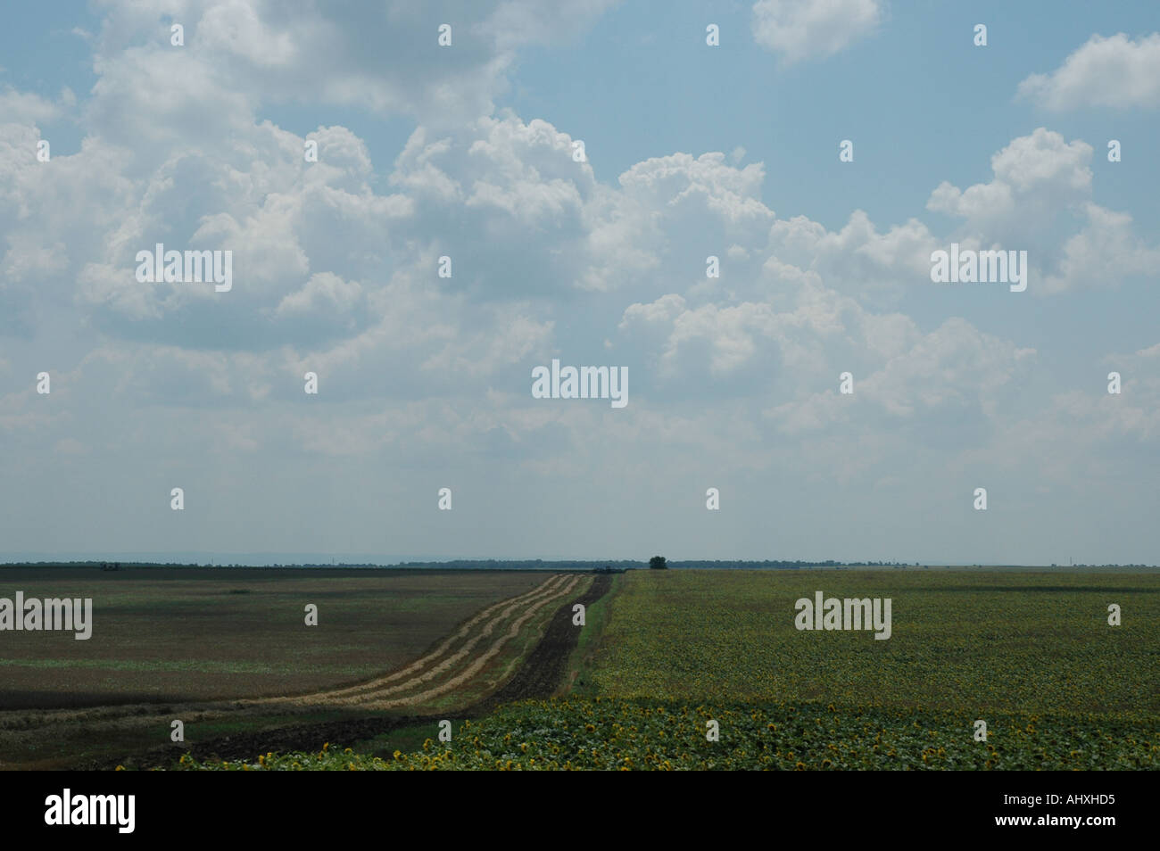 Agricultural land in North Bulgaria Stock Photo - Alamy