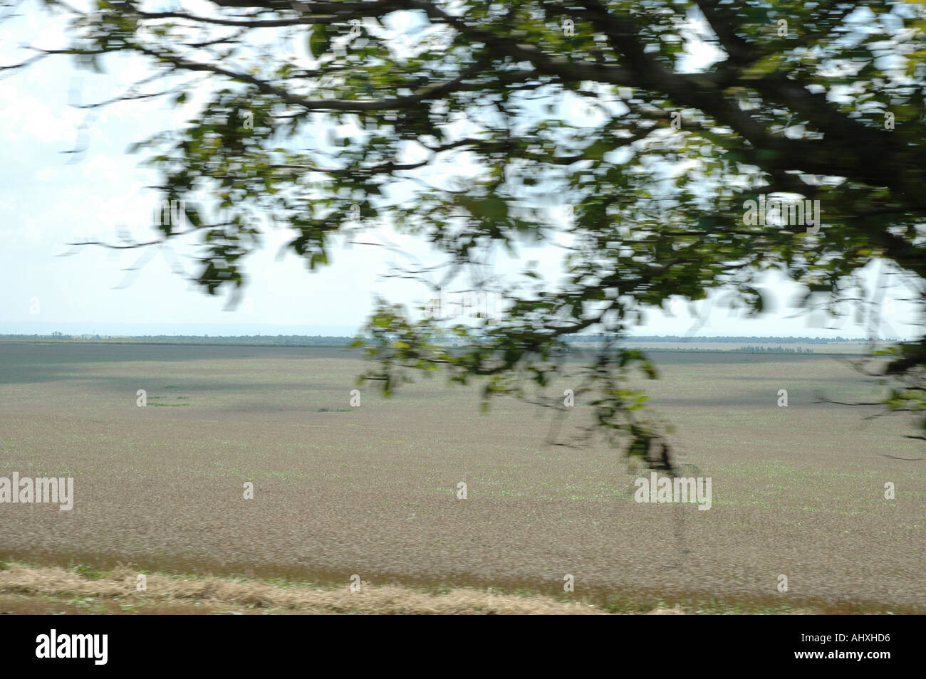 Field in North Bulgaria Stock Photo - Alamy