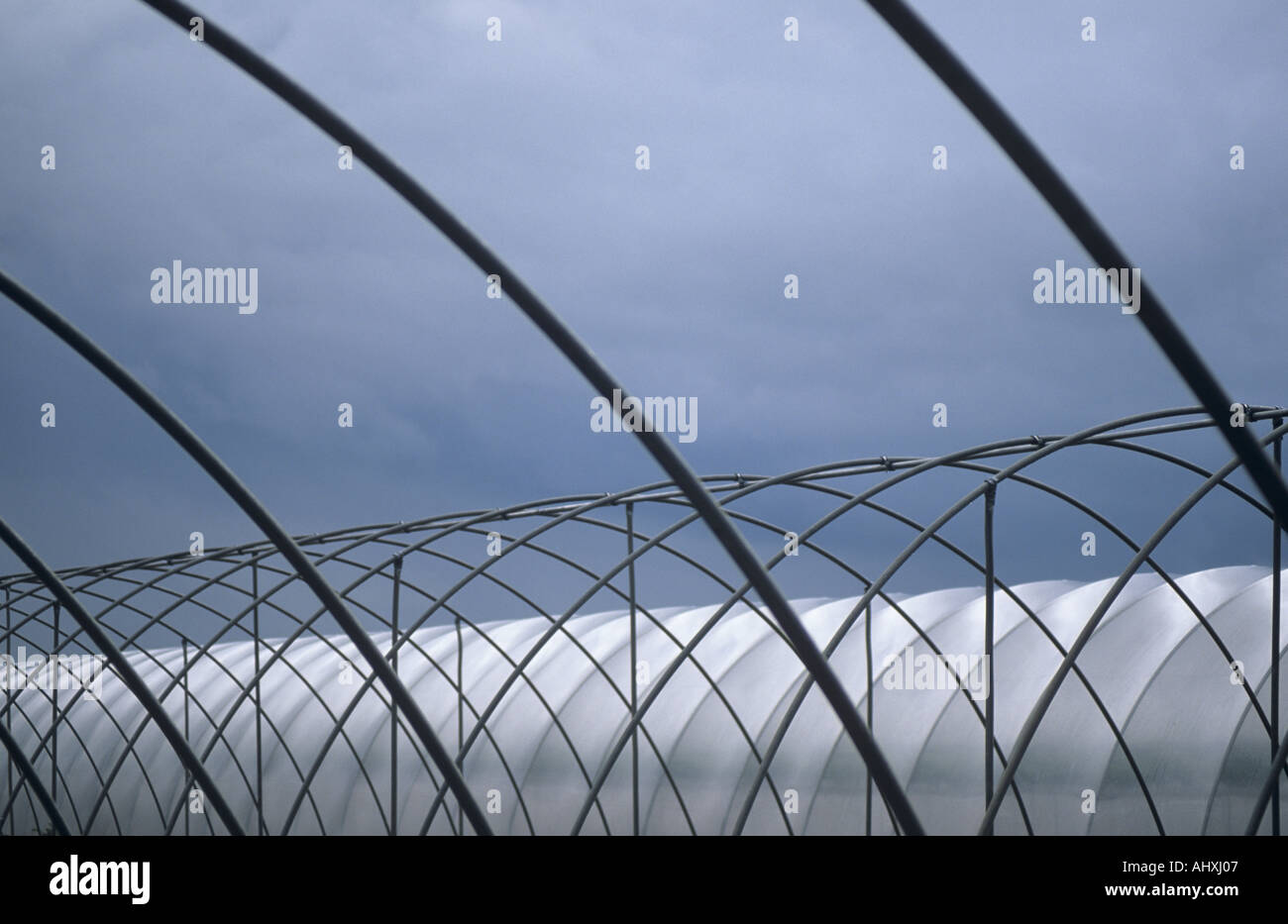 Poly tunnel patterns Stock Photo - Alamy