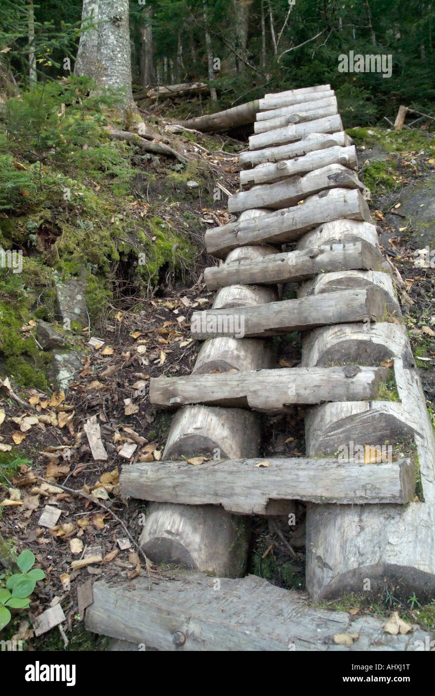 Trail staircase along Israel Ridge Path in the Presidential Range in ...