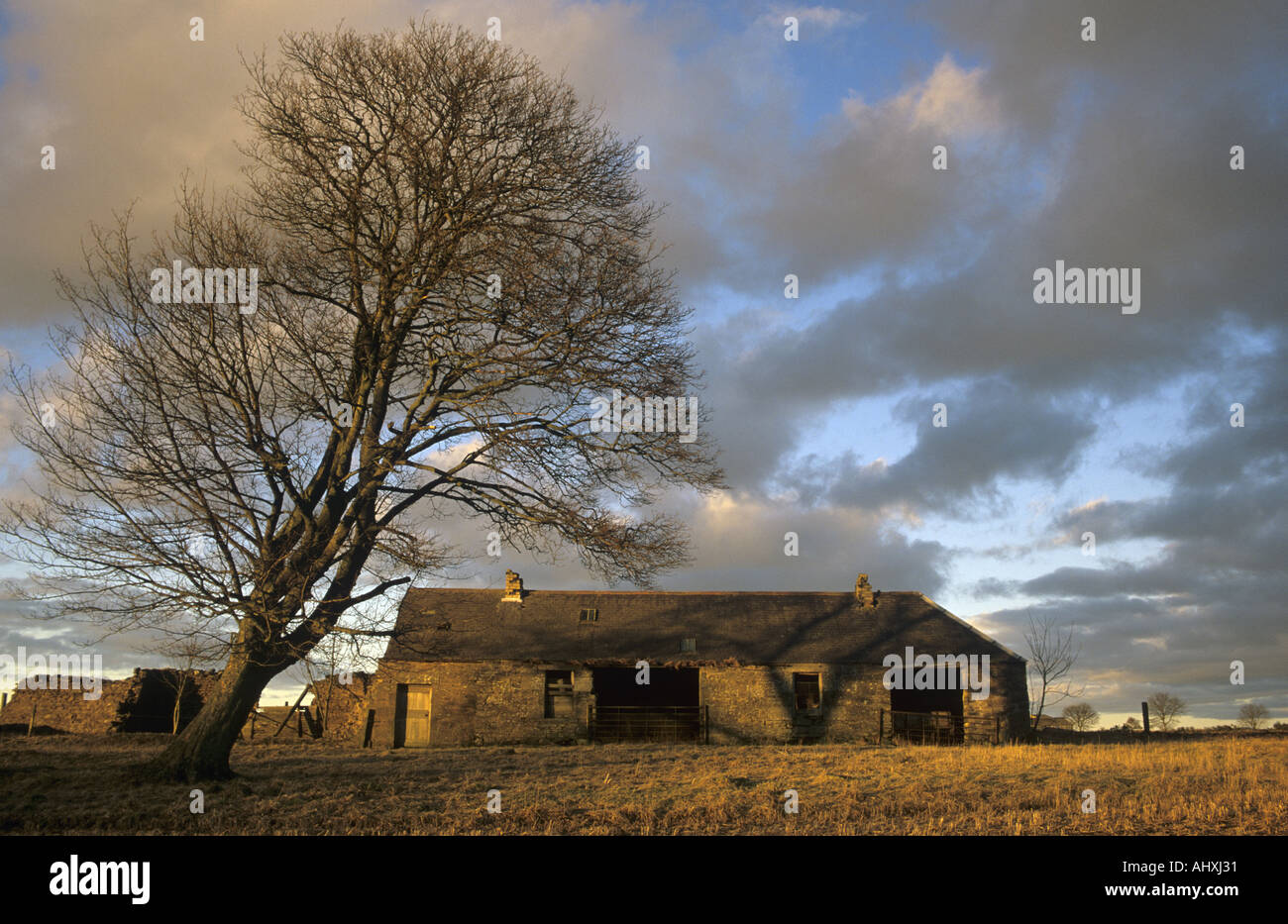 The Cart Shed Stock Photo - Alamy