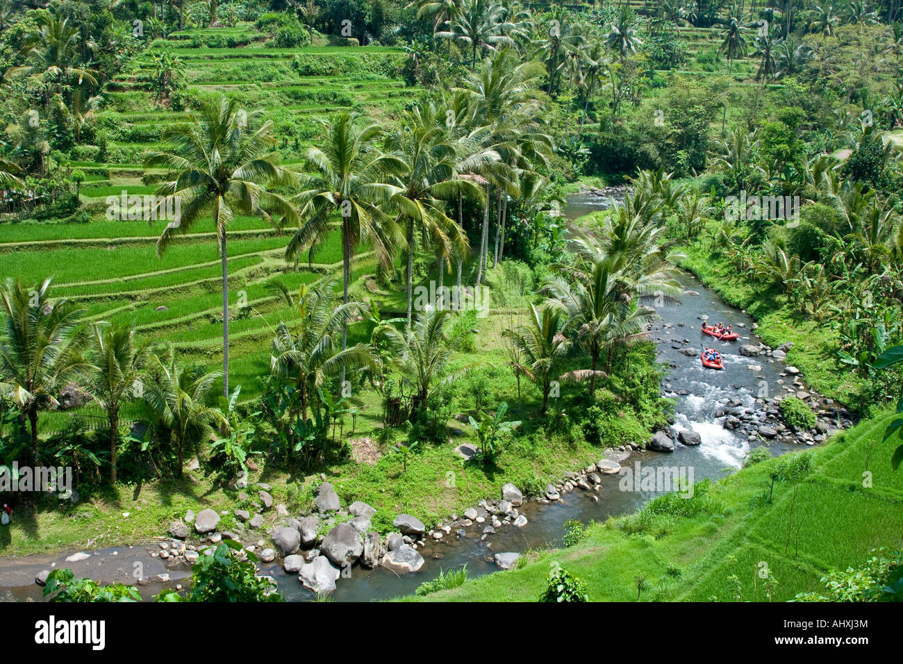 Rafting Ayung River Gorge Rice Terraces Ubud Bali Indonesia Stock Photo ...