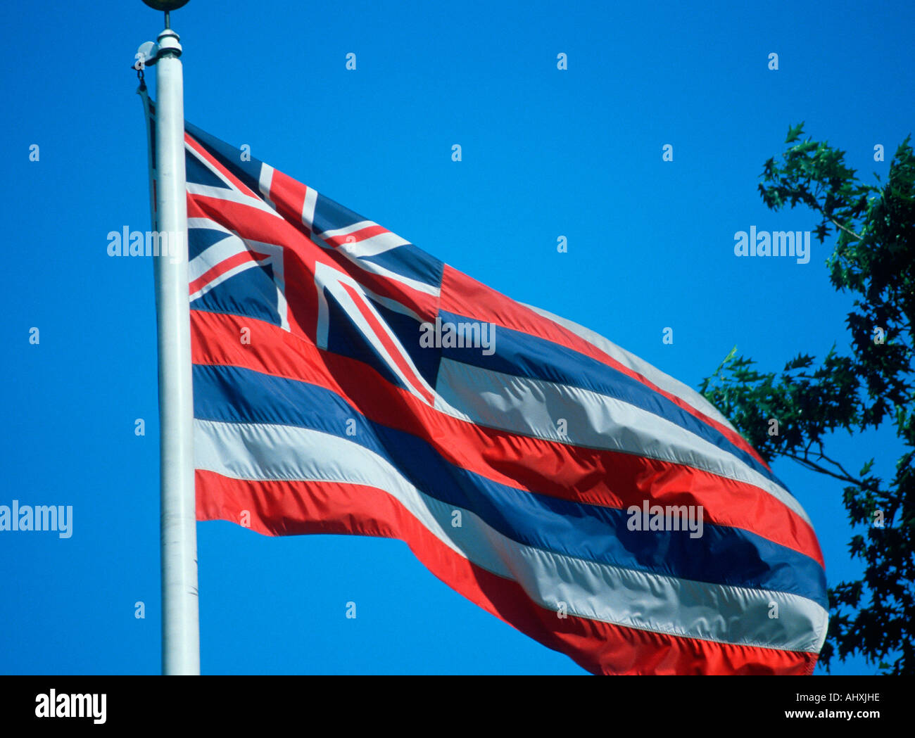 Hawaii flag hi-res stock photography and images - Alamy