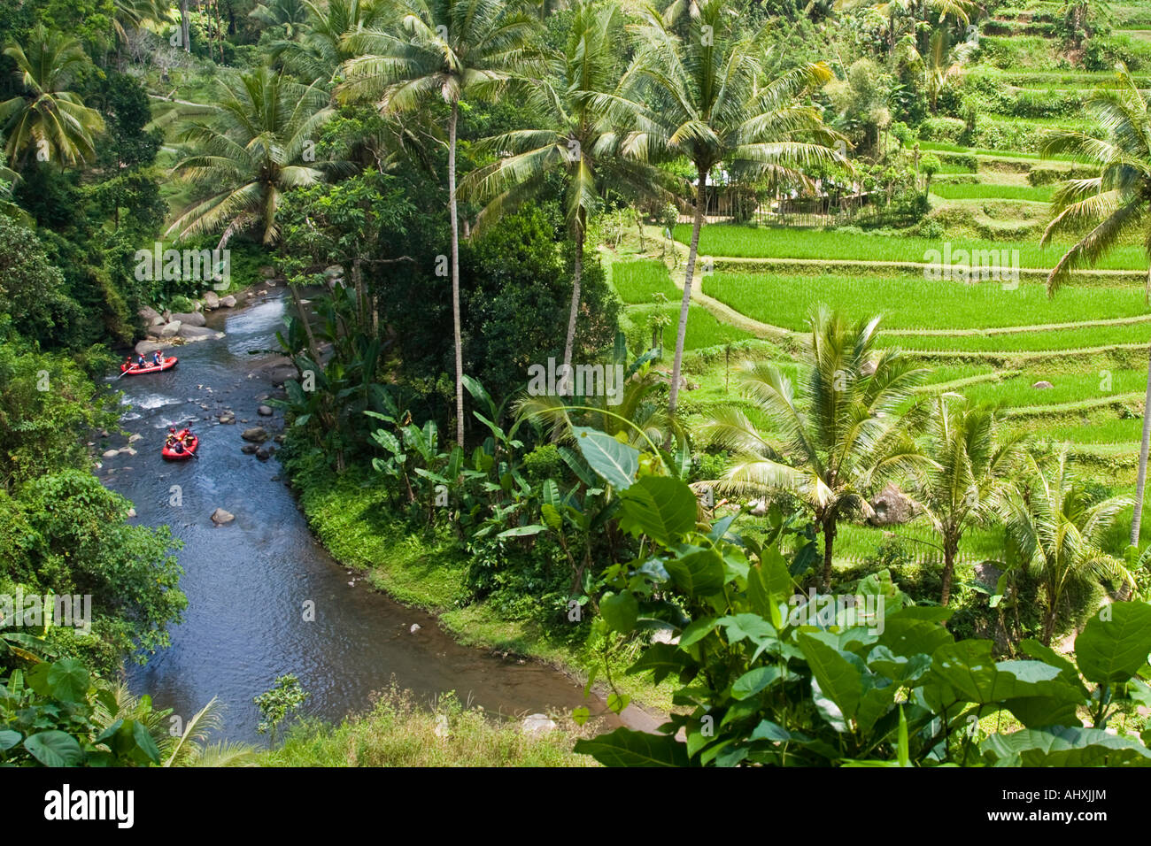 Rafting Ayung River Gorge Rice Terraces Ubud Bali Indonesia Stock Photo ...