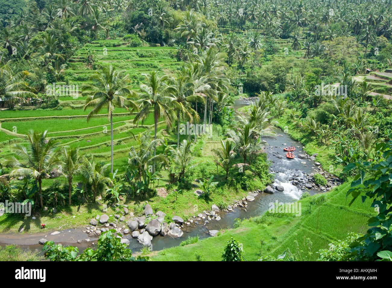 Rafting Ayung River Gorge Rice Terraces Ubud Bali Indonesia Stock Photo ...