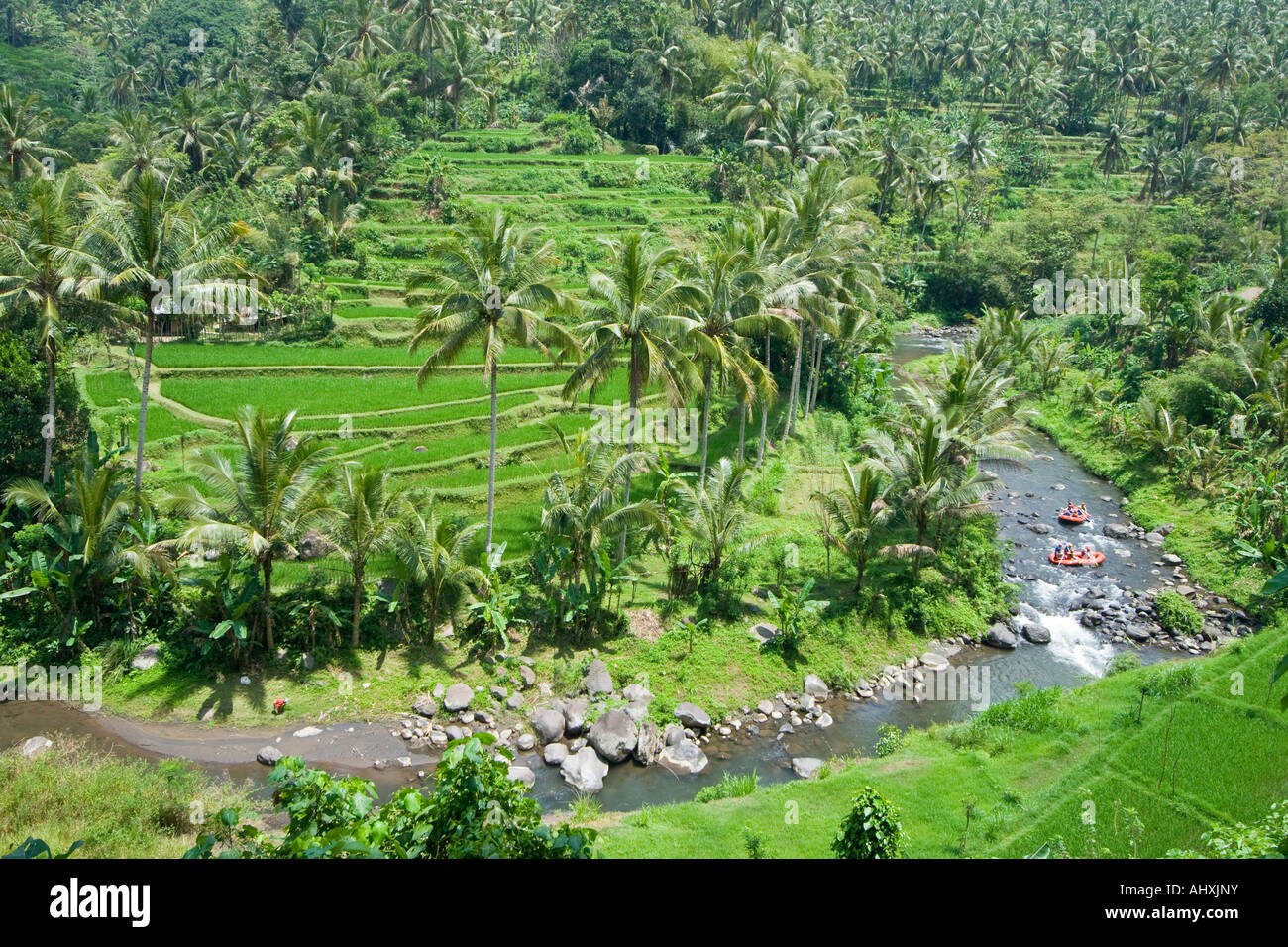 Ayung terrace indonesia hi-res stock photography and images - Alamy