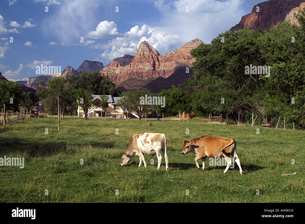 Suburban farm usa hi-res stock photography and images - Alamy