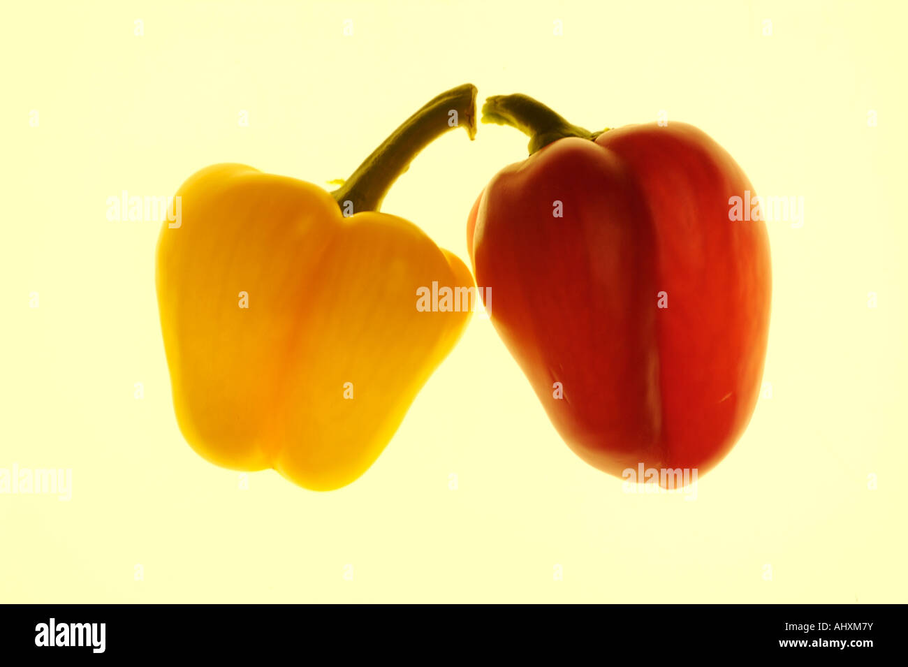 Two capsicum peppers on a white background Stock Photo - Alamy