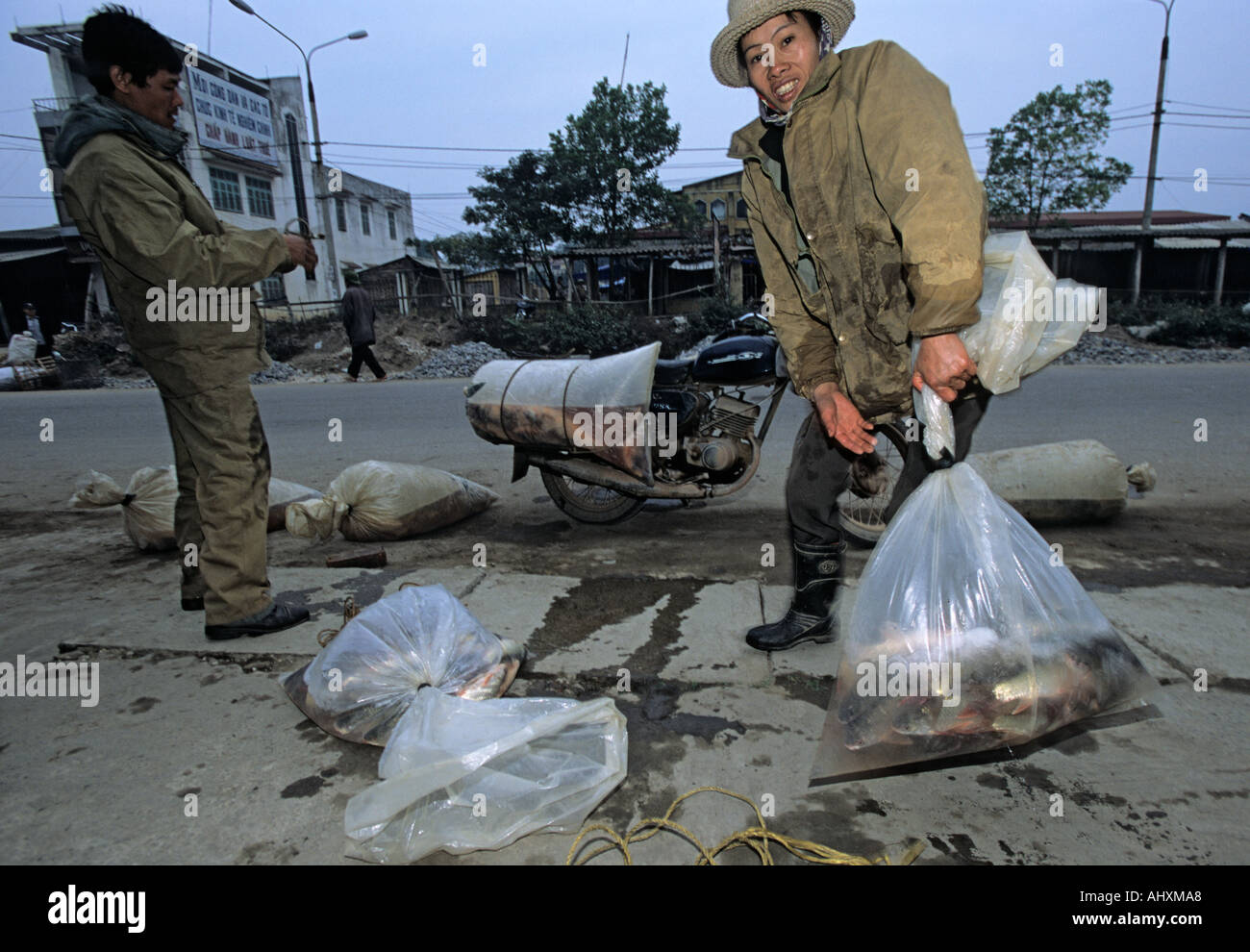 Vietnam Thai Nguyen Province transporting live fish from market by ...