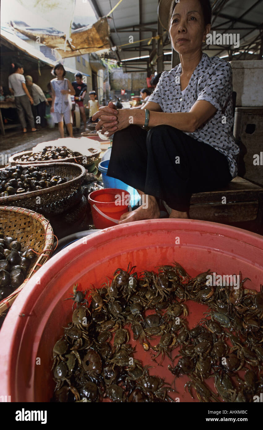 Wet market in hanoi hi-res stock photography and images - Alamy