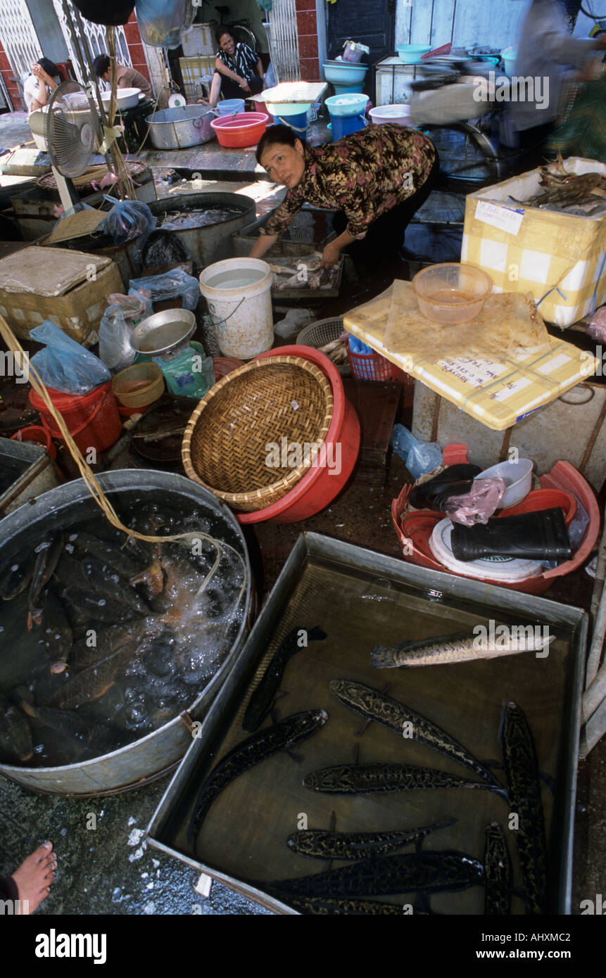 Wet market in hanoi hi-res stock photography and images - Alamy